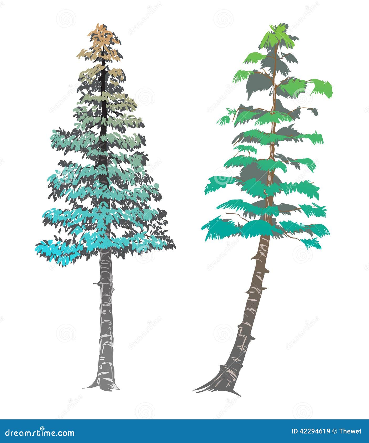 Free Hand Drawing the Pine Tree Stock Illustration - Illustration of ...