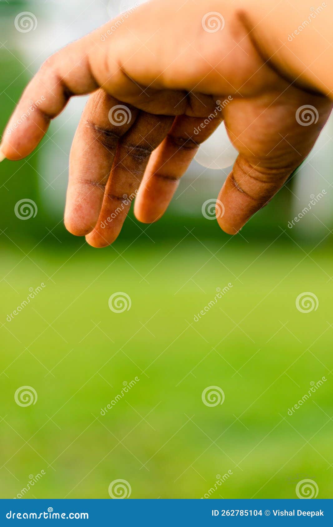 Free hands flying stock photo. Image of hands, feel - 262785104