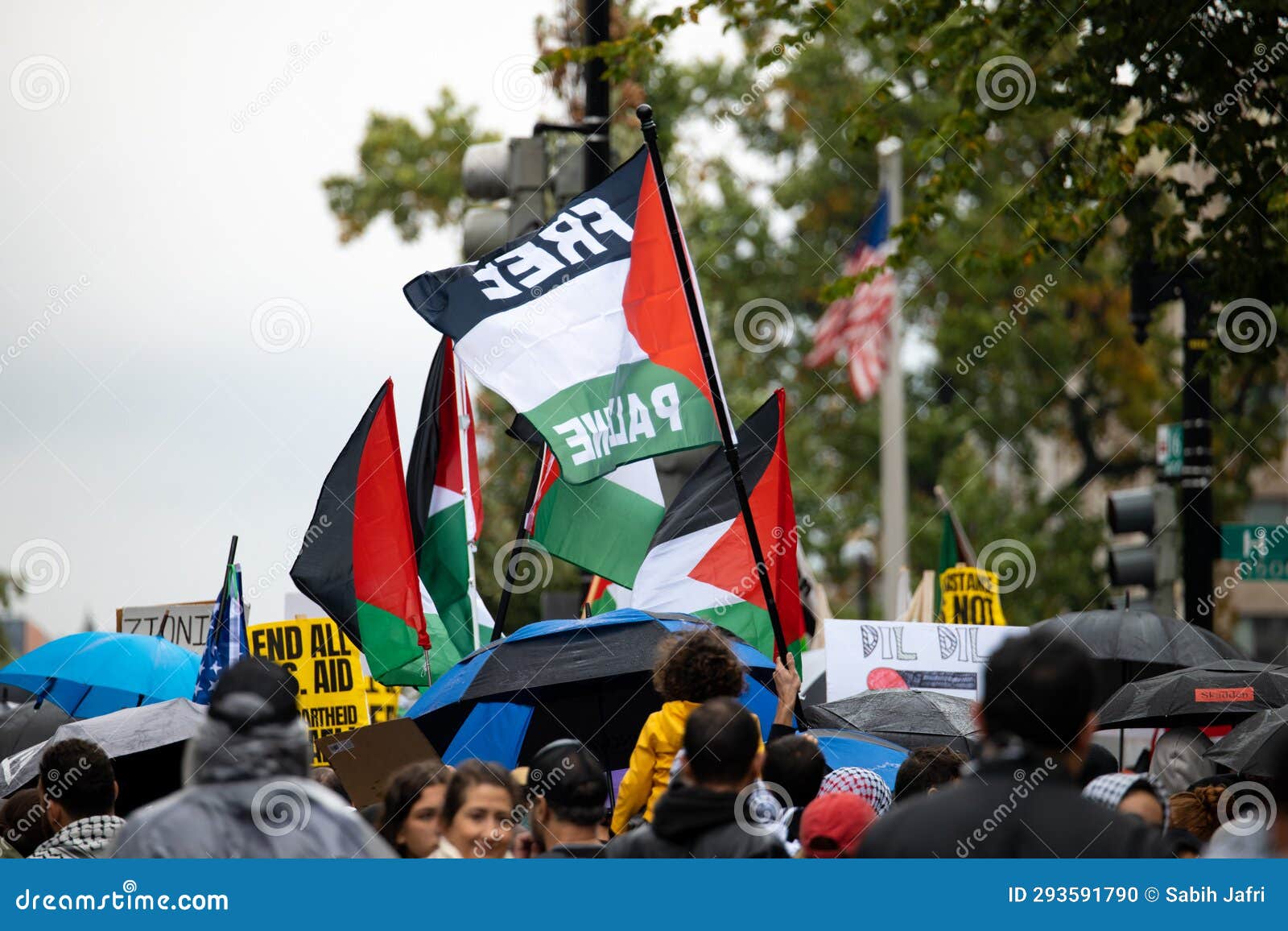 Washington, DC - 10-14-2023: Free Palestine Flag at Palestine Protest ...