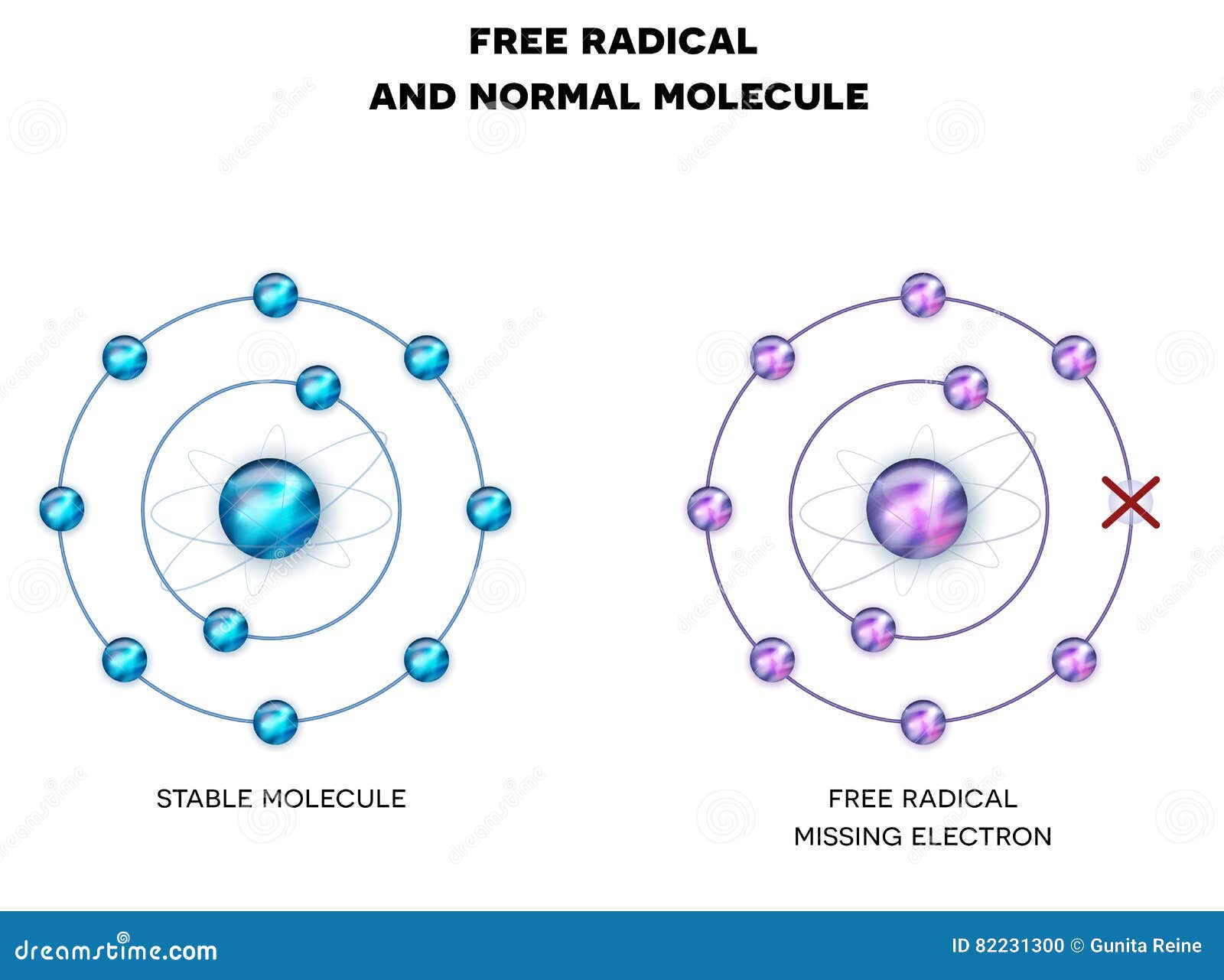 Free Radical And Antioxidant Vector . Antioxidant Donates Electron To ...