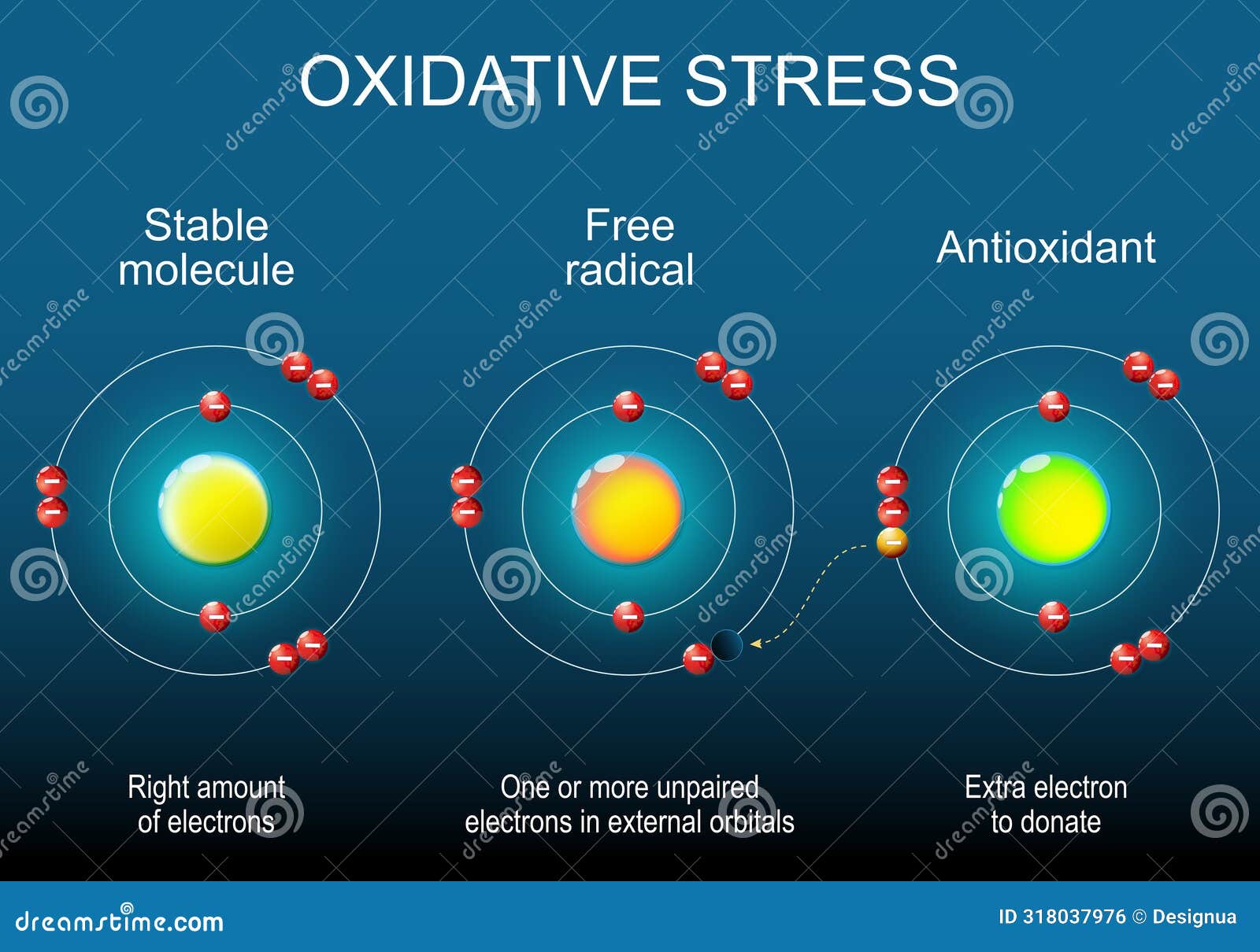 Antioxidant Cartoons, Illustrations & Vector Stock Images - 76180 ...