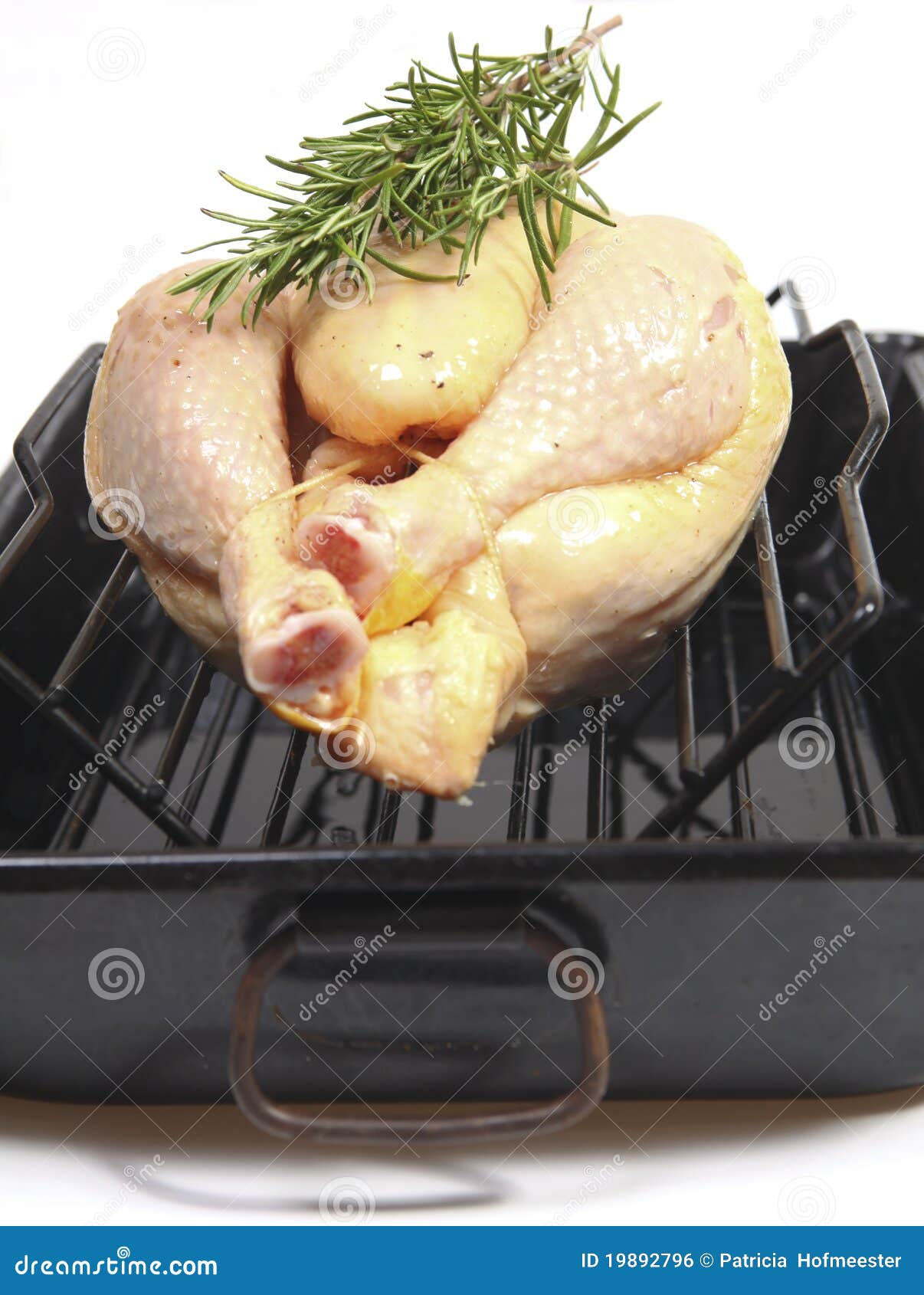 Free range chicken stock photo. Image of sprig, oven - 19892796