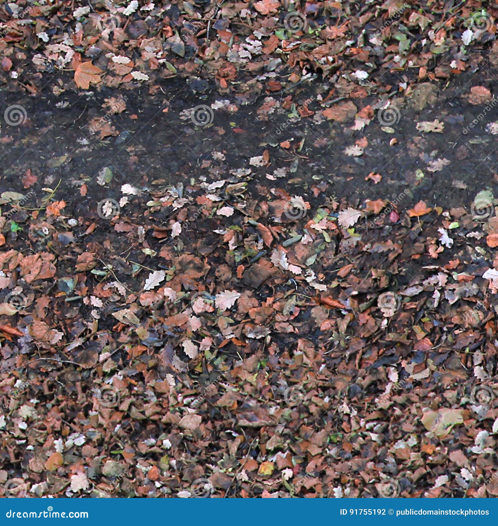 Free Seamless Texture Autumn Track Picture. Image: 91755192