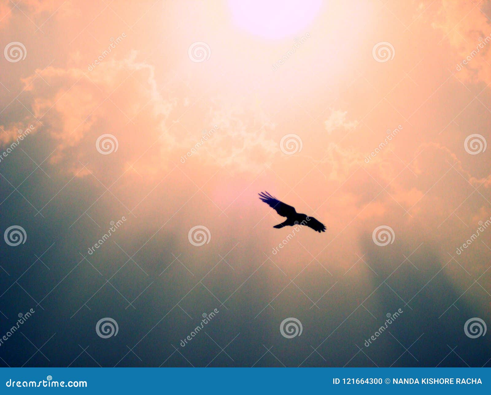 Free soul stock photo. Image of freedom, soul, high - 121664300