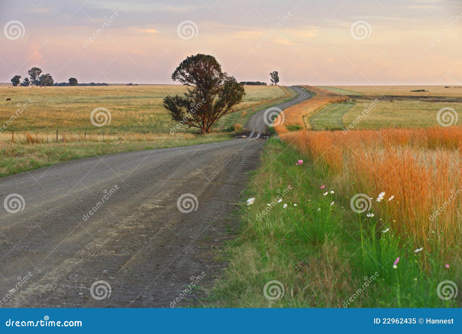 Free State Back Roads stock image. Image of road, south - 22962435