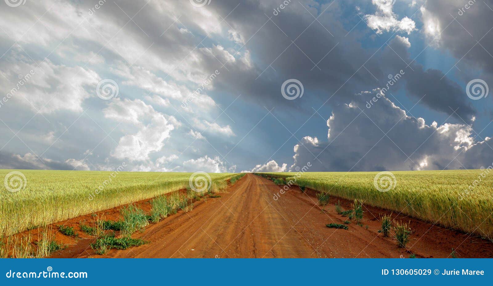 Free State Farm panorama. stock image. Image of panorama - 130605029