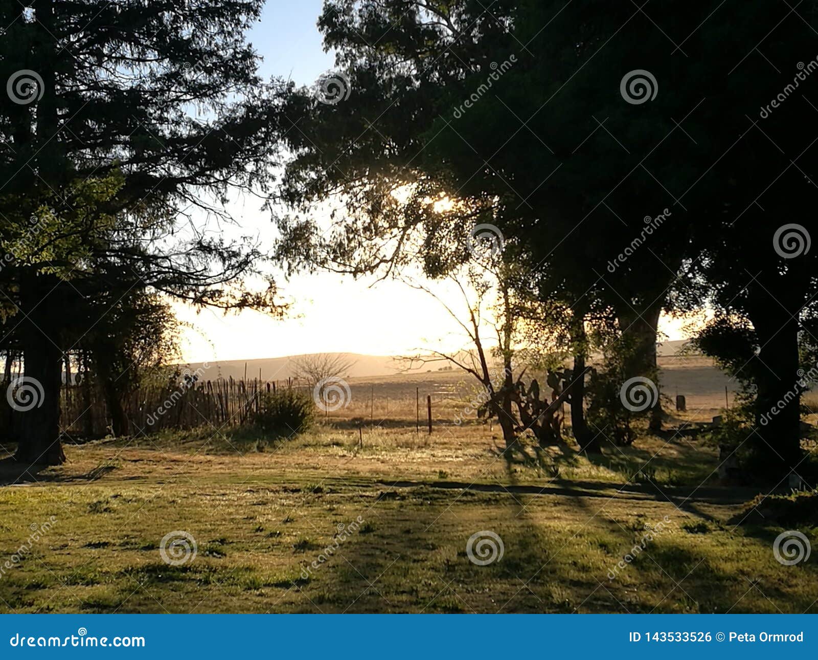 Free state landscapes stock photo. Image of trees, sunlight - 143533526