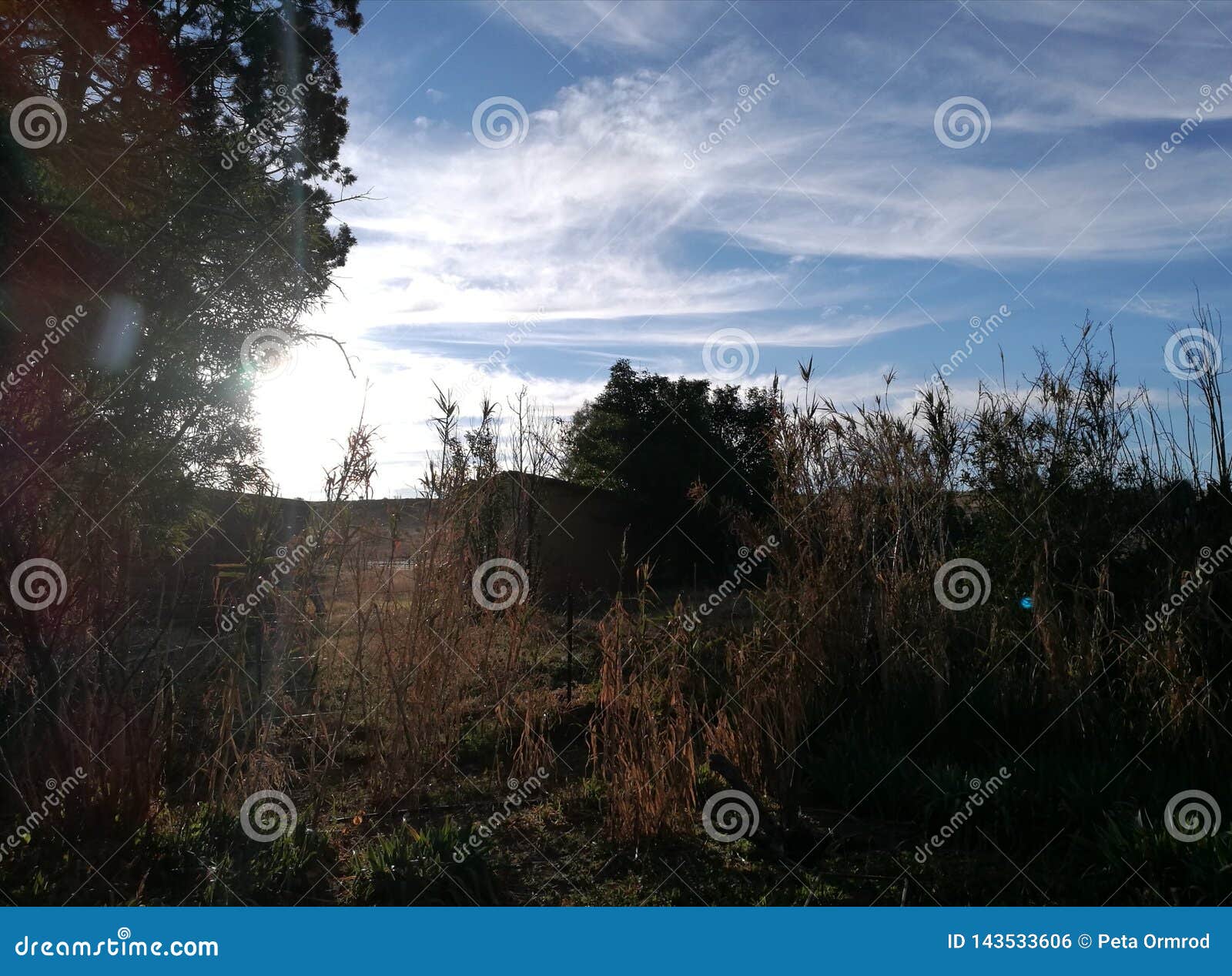 Free state landscapes stock photo. Image of state, trees - 143533606