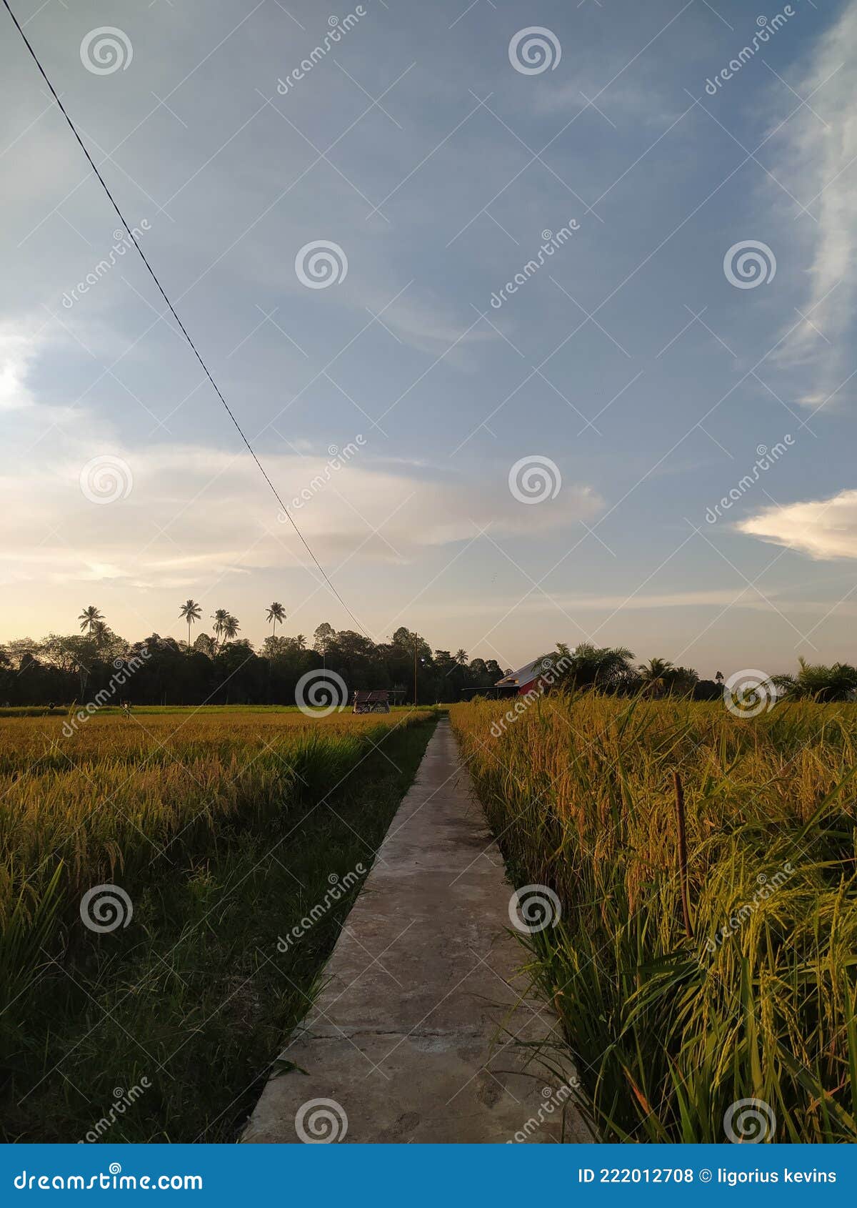 Free sunset in here stock photo. Image of lighting, reflection - 222012708