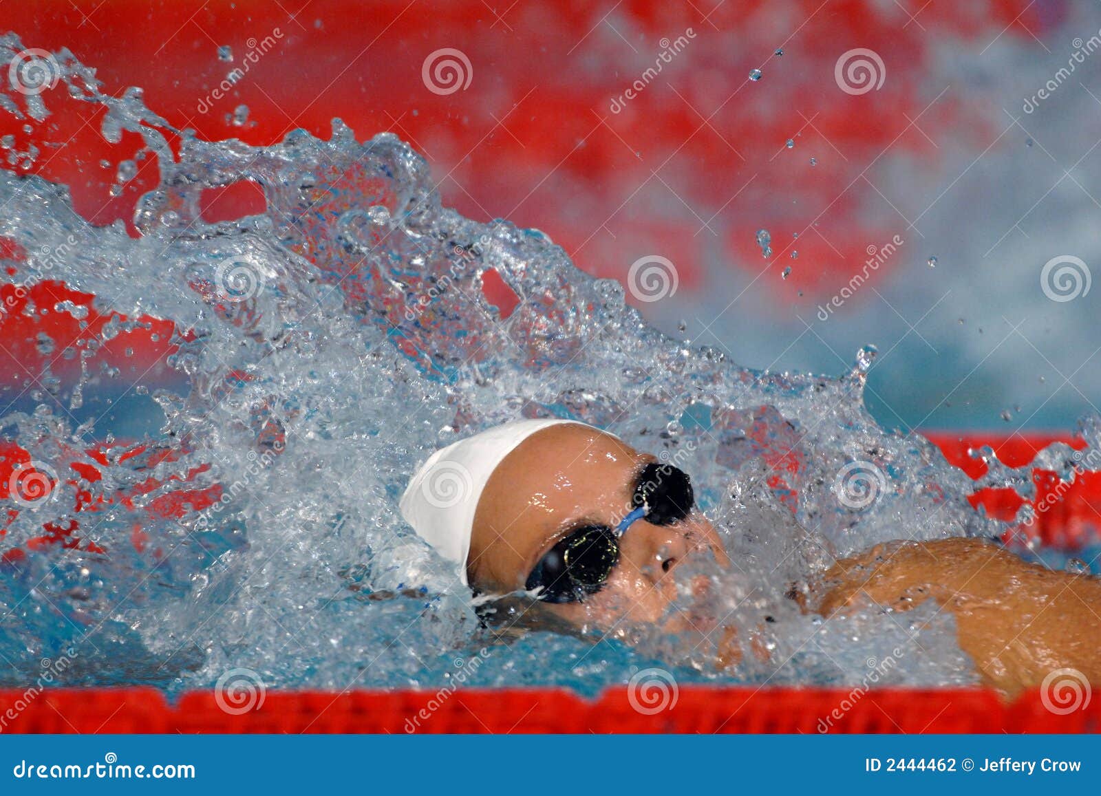 Free swimmer 03 stock photo. Image of sport, freestyle - 2444462