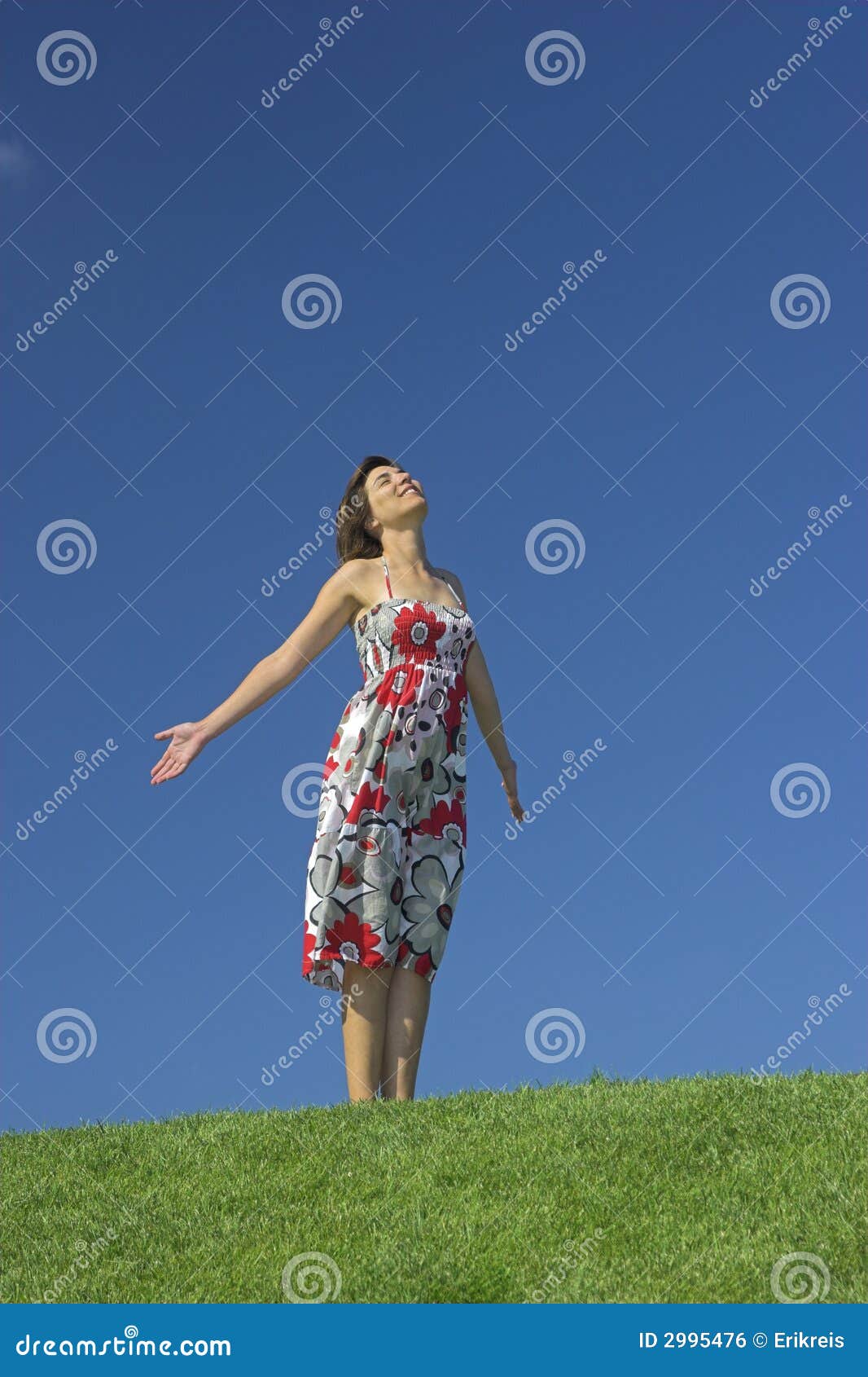 Free time stock photo. Image of green, field, meadow, happiness - 2995476