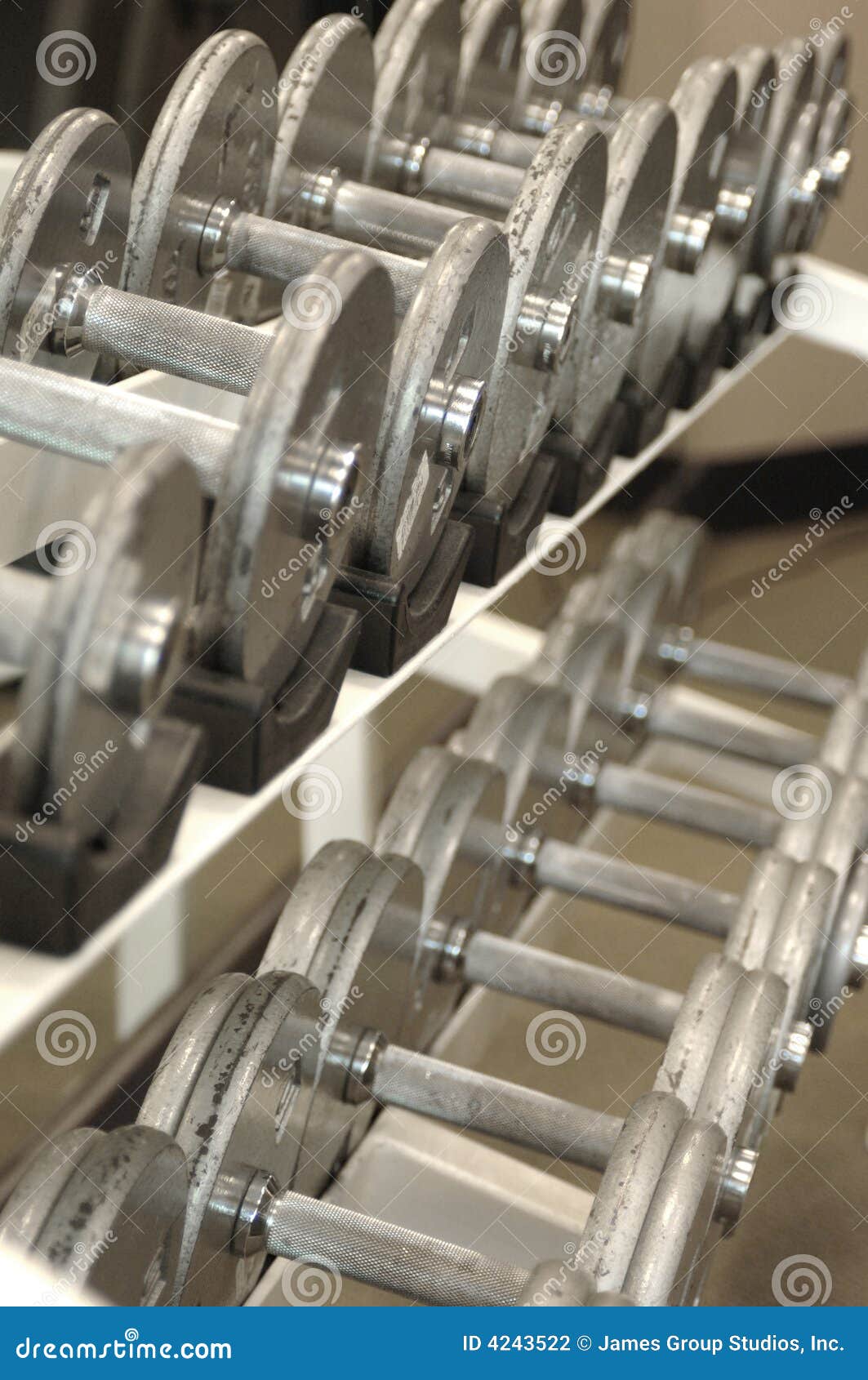 Free Weights stock photo. Image of health, dumbells, excercise - 4243522