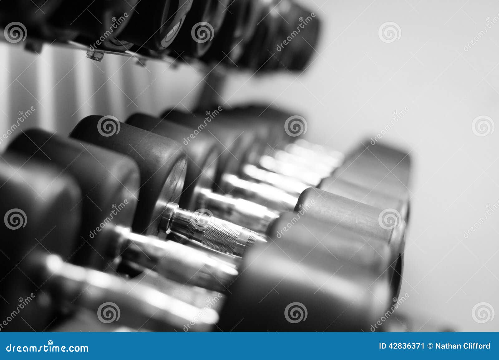 Free weights stock image. Image of bodybuilding, fitness - 42836371