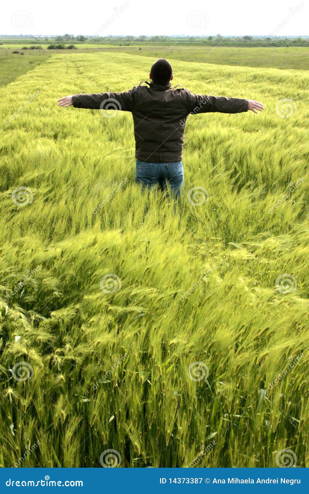 Free Young Man in a Wheat Field Stock Image - Image of enjoying ...