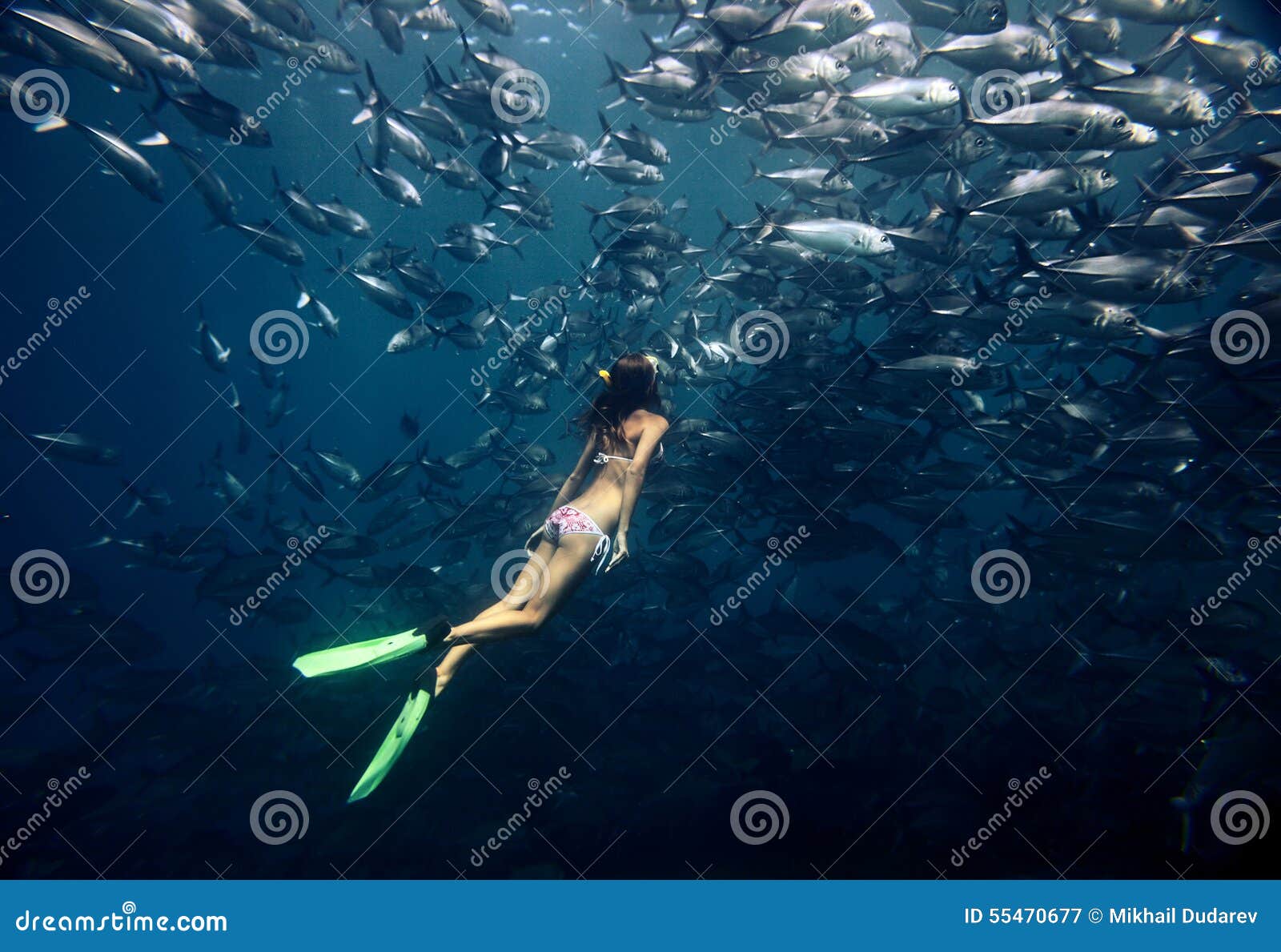Freediver and fish stock image. Image of apnea, fish - 55470677