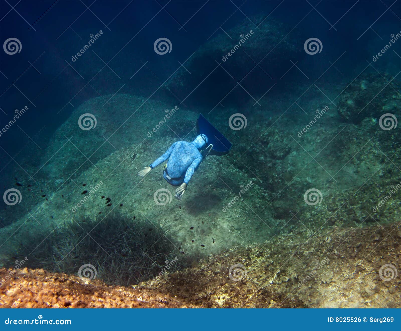 A Freediver Makes Turnover at the Sea Bottom Stock Photo - Image of ...
