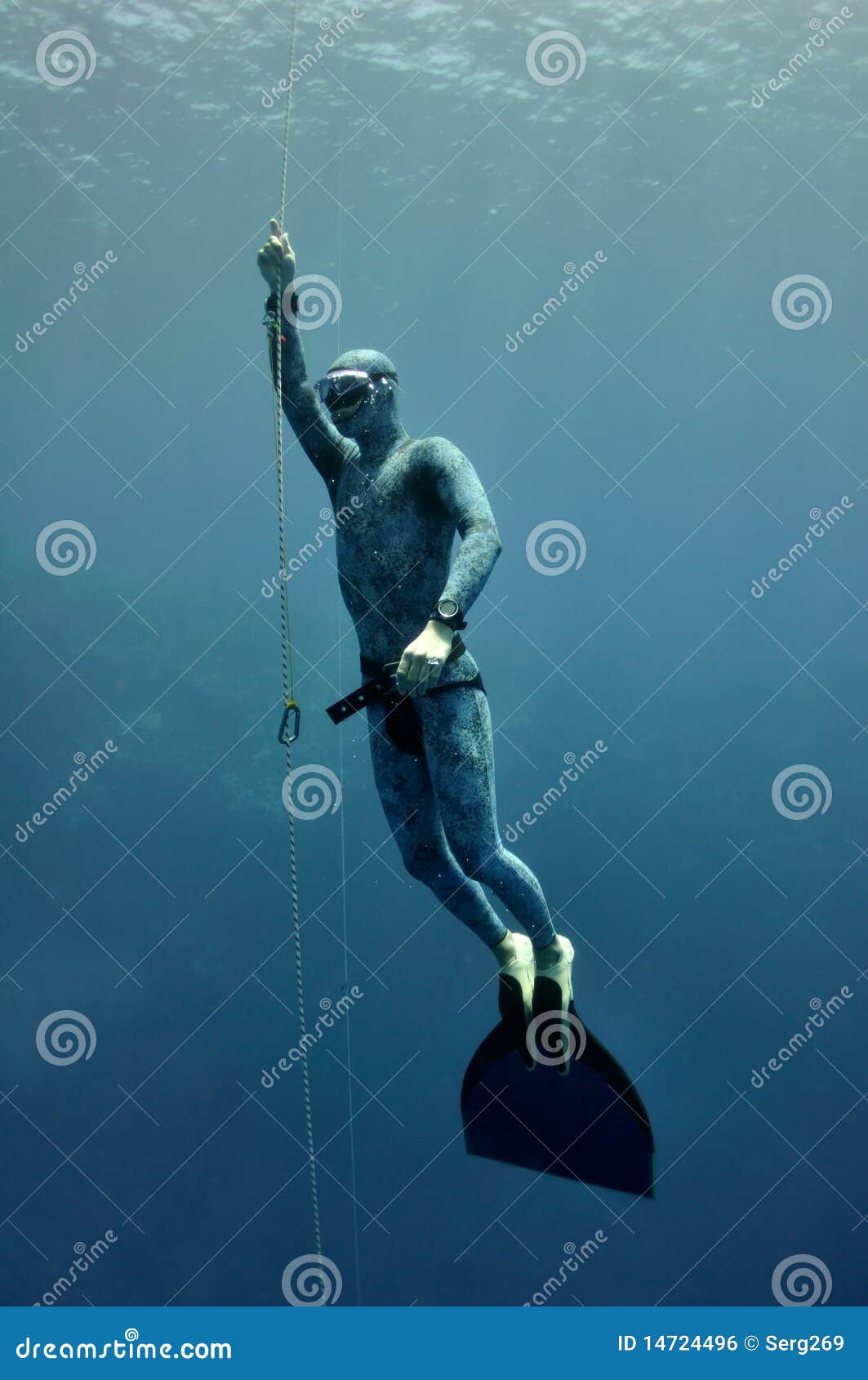 Freediver Raises from the Depth by Rope Stock Photo - Image of ...