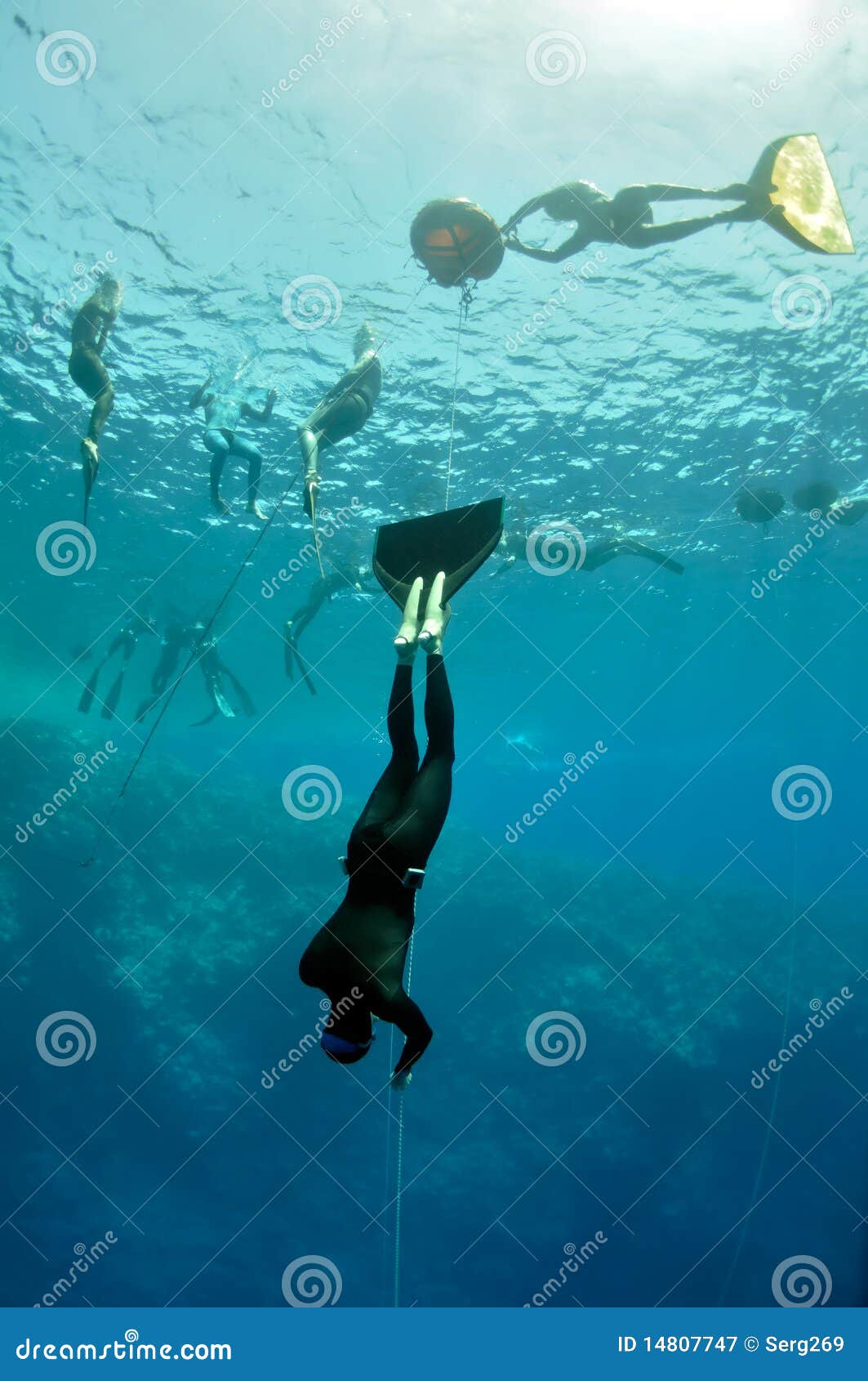 Freediver Starts His Dive from the Surface Stock Image - Image of blue ...