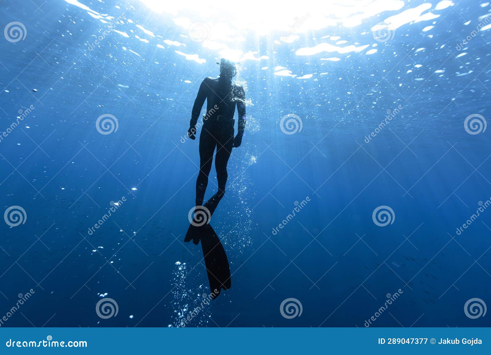 Freediver Swimming in Deep Sea with Sunrays Stock Image - Image of ...
