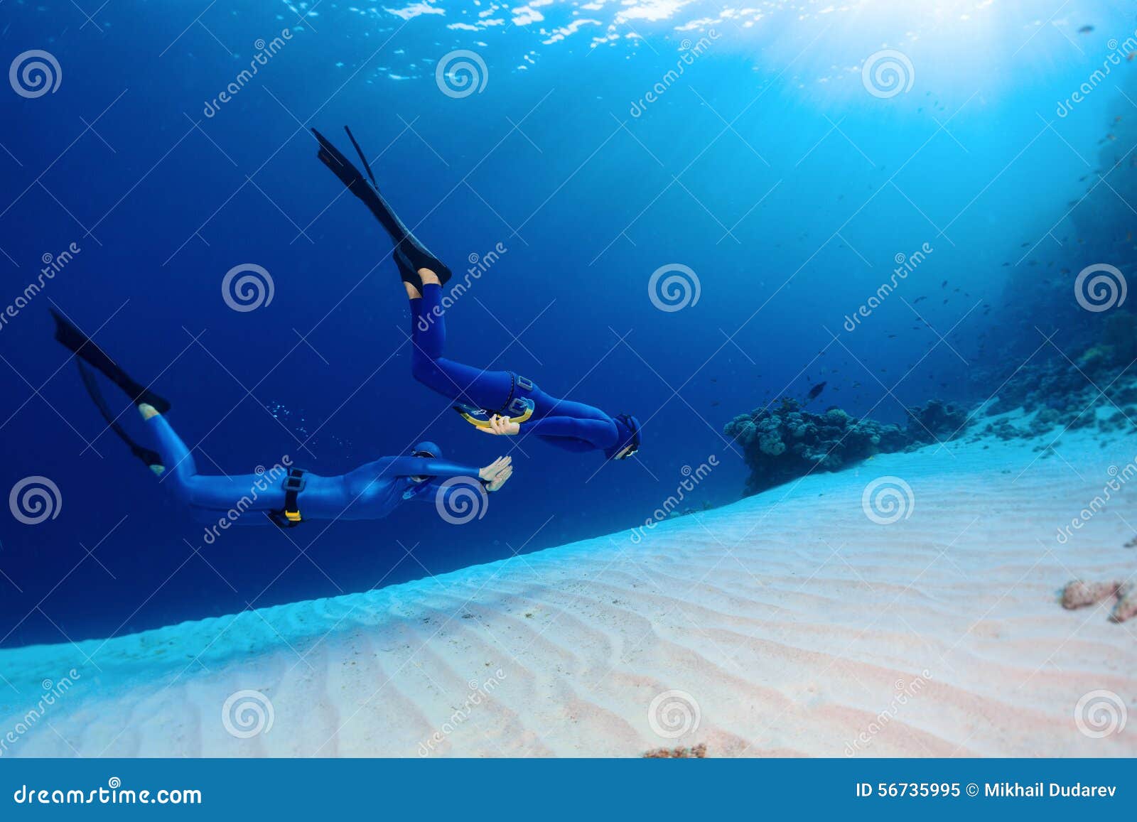 Freedivers in the sea stock image. Image of apnea, body - 56735995