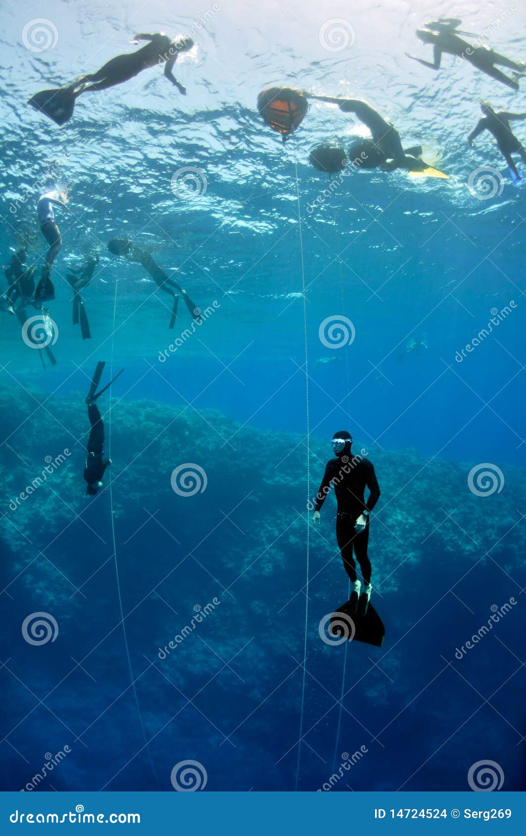 Freediving training stock photo. Image of freediving - 14724524