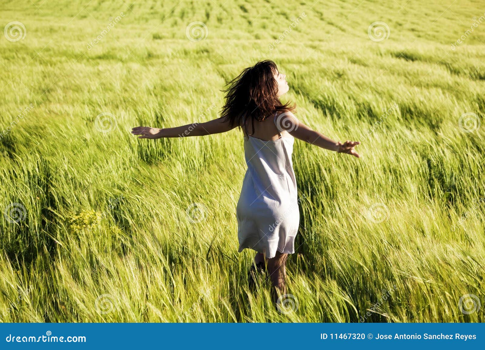 Freedom stock photo. Image of emotion, expressions, outdoors - 11467320