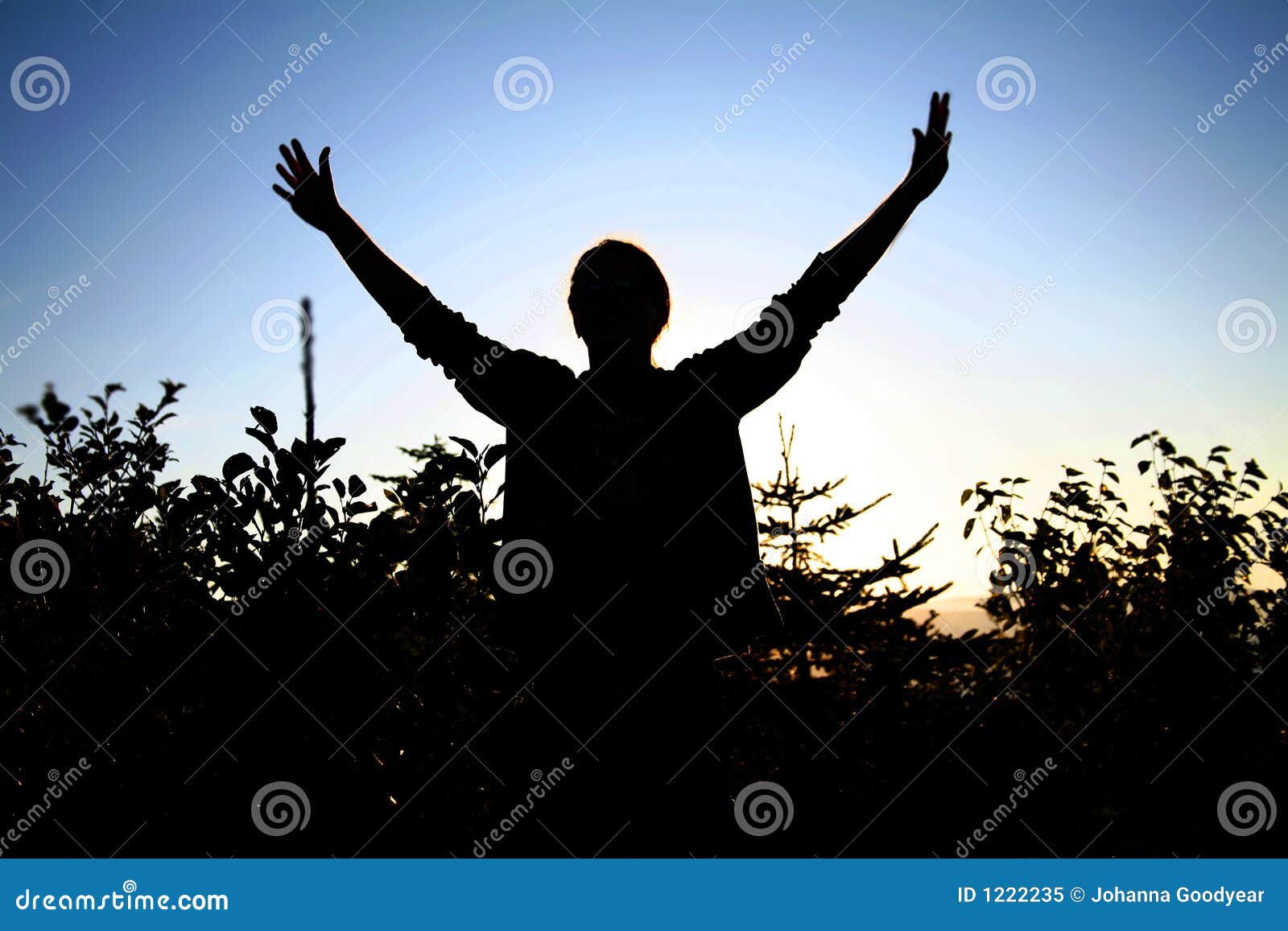 Freedom stock image. Image of success, nature, lifestyle - 1222235