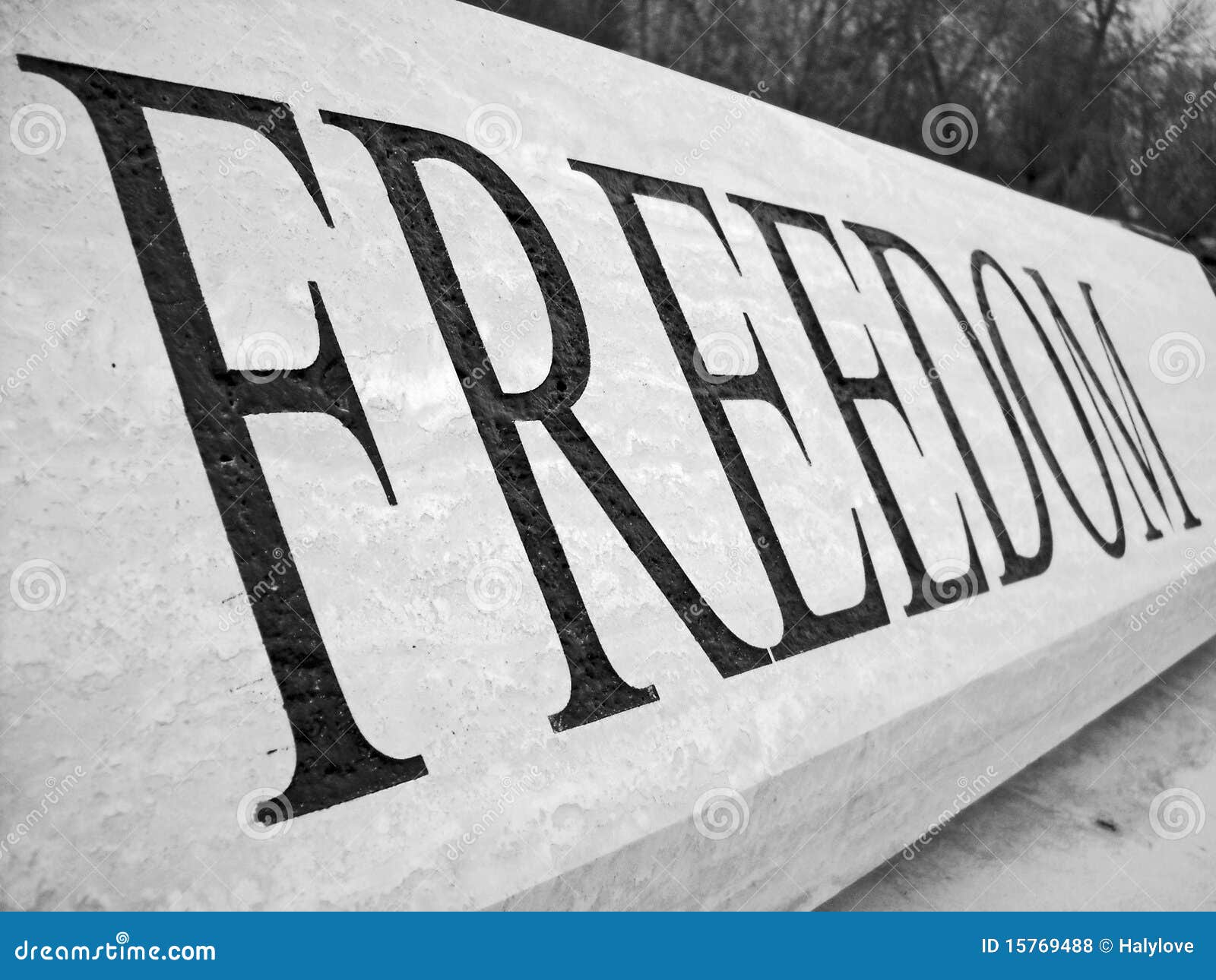 Freedom stock photo. Image of patriotic, battle, white - 15769488