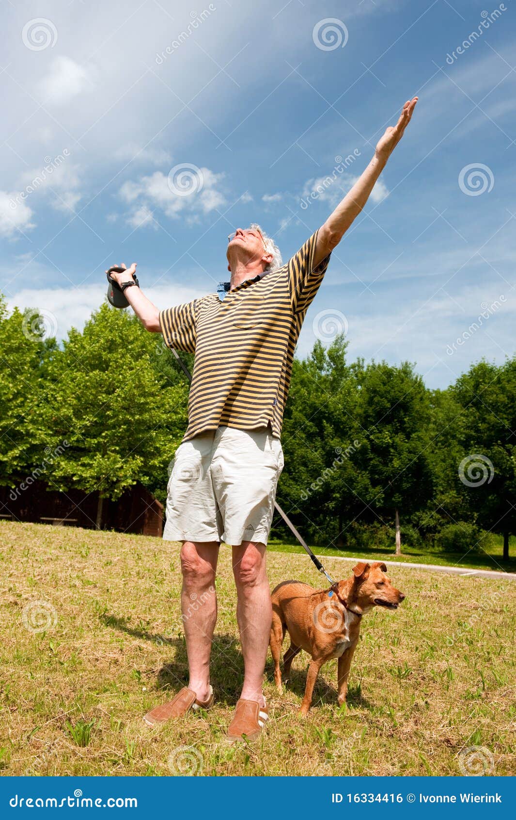 Freedom stock photo. Image of nature, hands, trees, outdoor - 16334416
