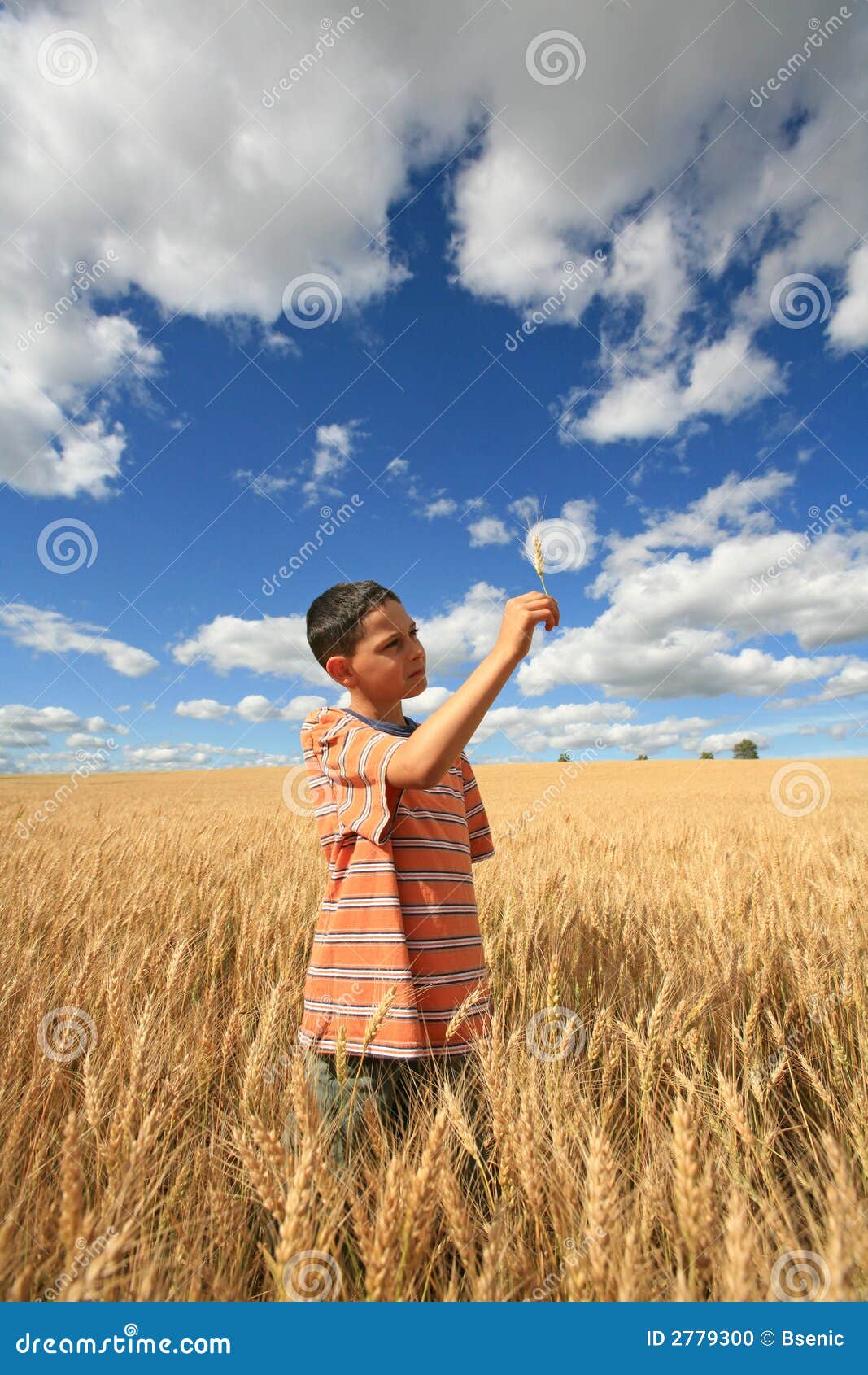 Freedom stock photo. Image of independence, freedom, horizon - 2779300