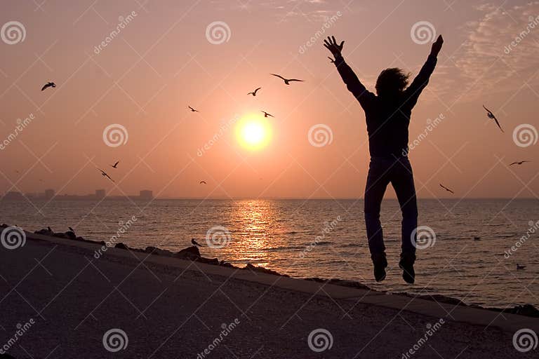 Freedom stock photo. Image of energy, jetties, bird, excitement - 346726