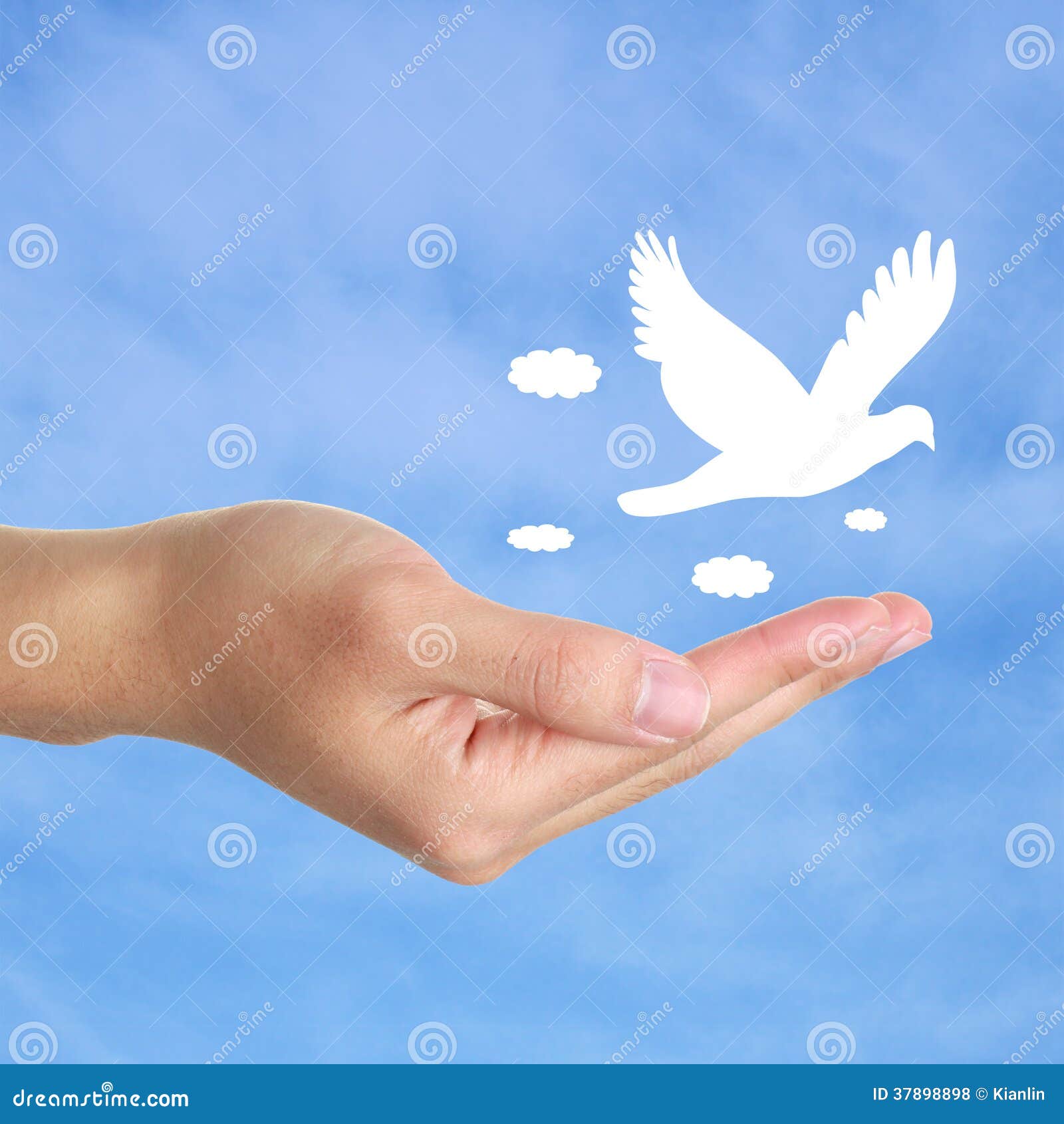 Freedom stock photo. Image of hand, hoping, innocence - 37898898