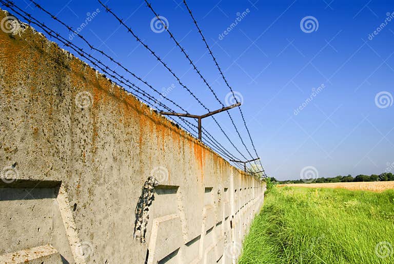 Freedom stock photo. Image of concrete, captive, prickly - 5647578