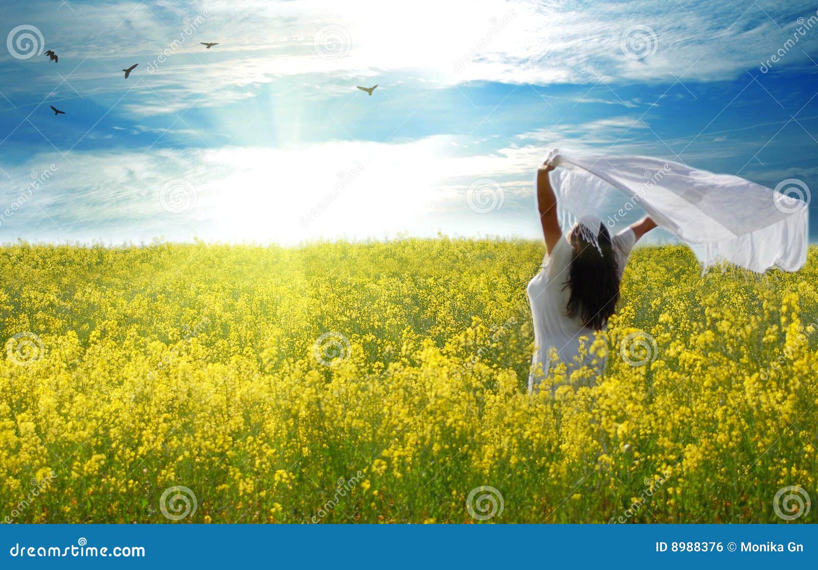 Freedom stock photo. Image of background, grass, beauty - 8988376