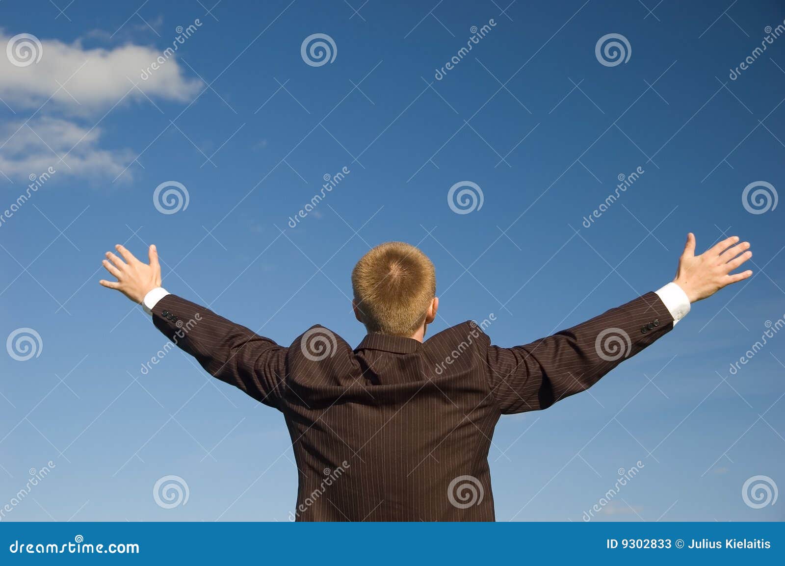 Freedom stock image. Image of excitement, outstretched - 9302833