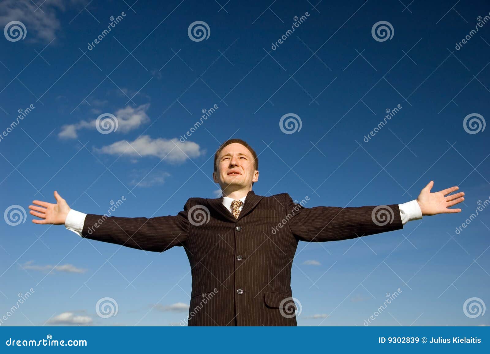 Freedom stock image. Image of hands, freedom, happy, blue - 9302839