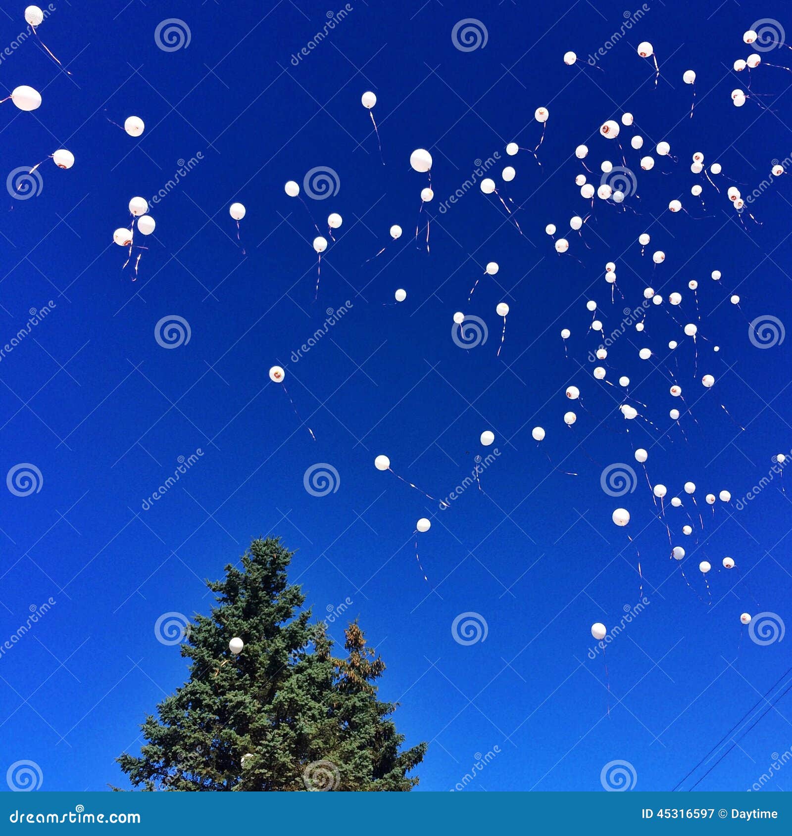 Freedom stock image. Image of high, flying, blue, balloons - 45316597