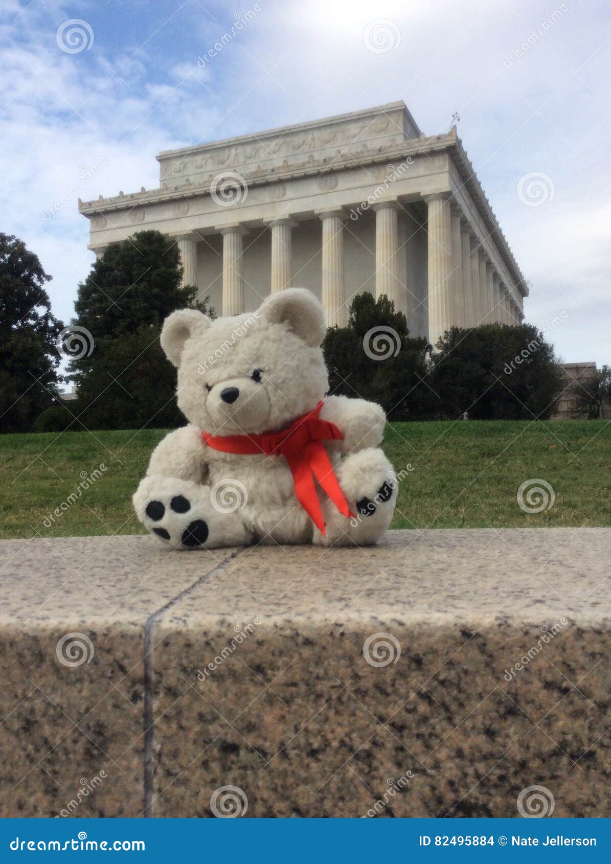 Freedom bear stock photo. Image of monument, freedom - 82495884