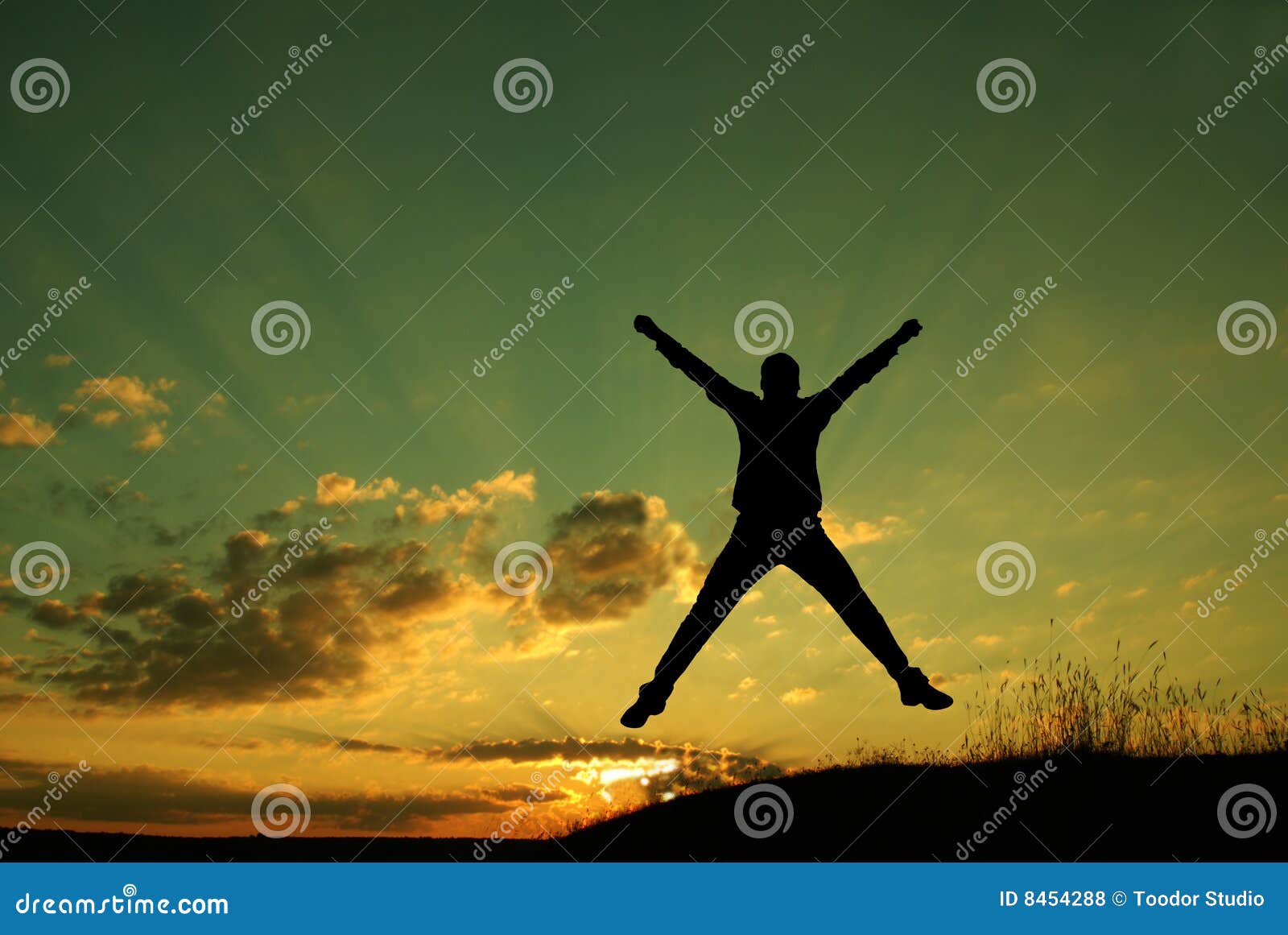 Freedom concept stock photo. Image of reaching, domination - 8454288