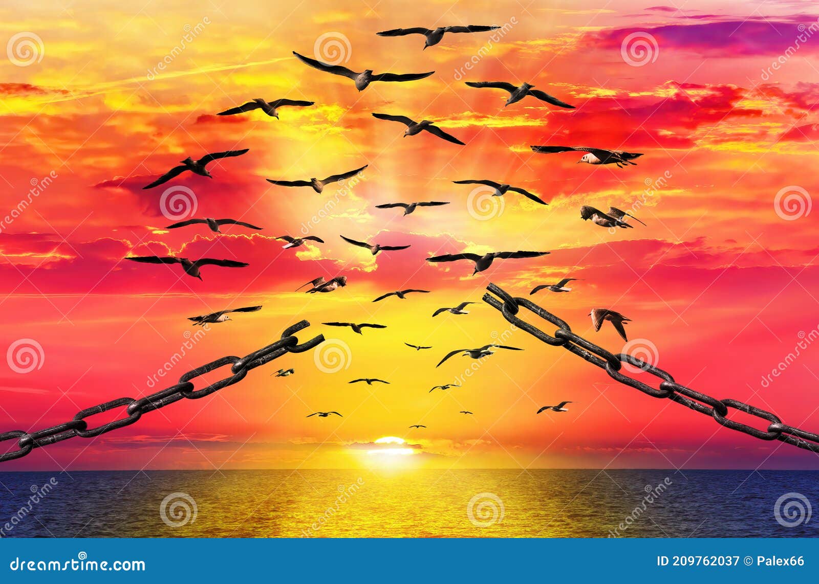 Birds Breaking Chains And Flying Away At Sunset. Freedom Concept ...