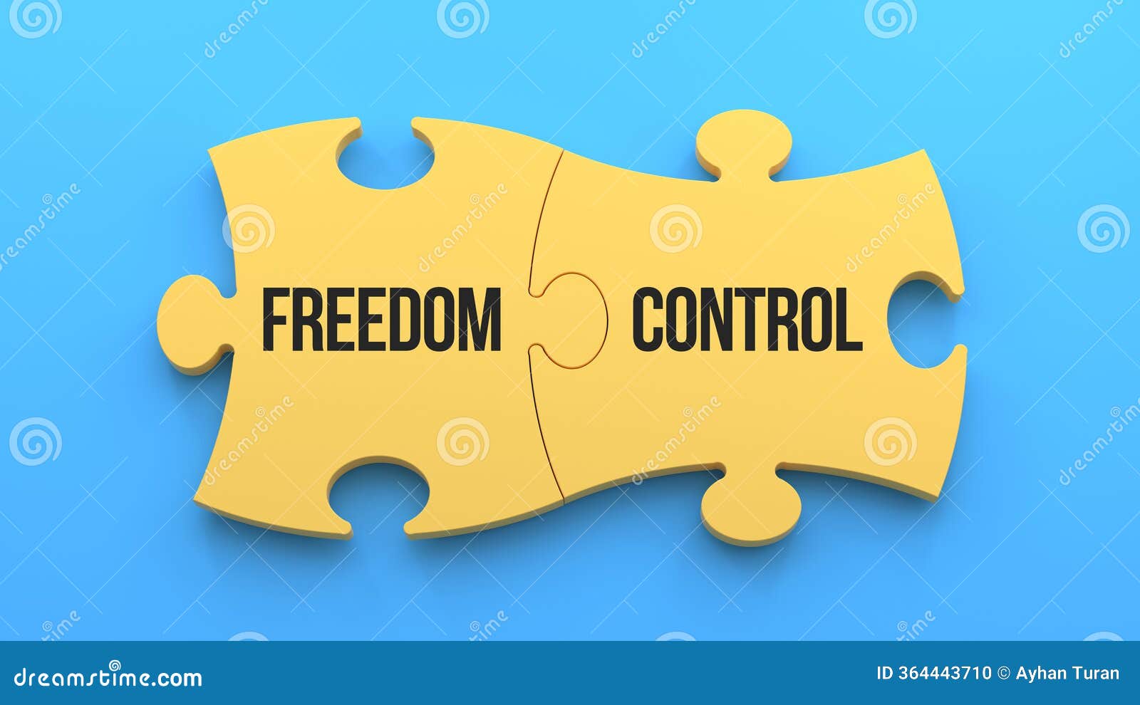 IT Freedom Control And Unlocking. Businesswoman Unlocks Laptop In Cage ...