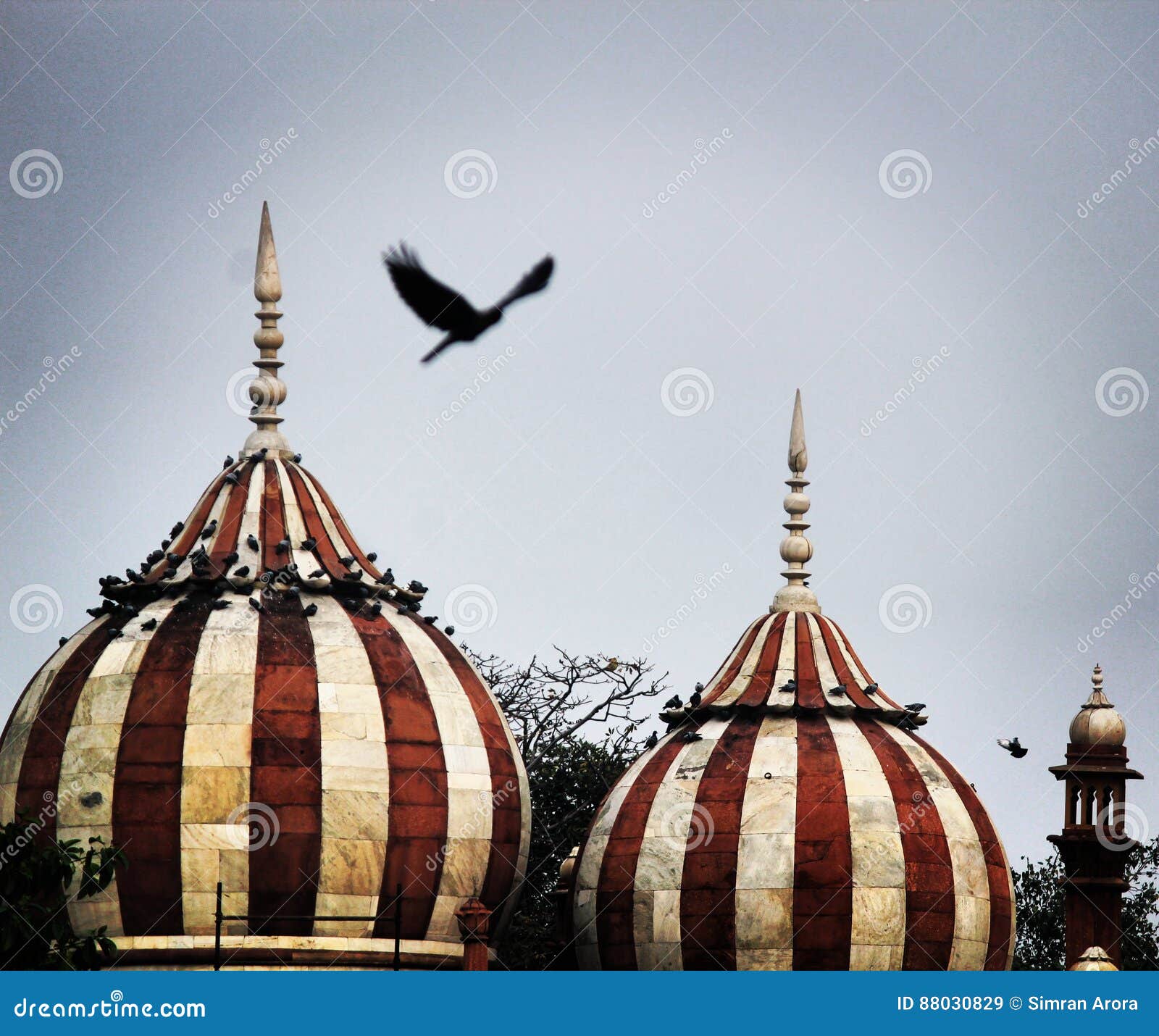 Freedom stock image. Image of high, freedom - 88030829