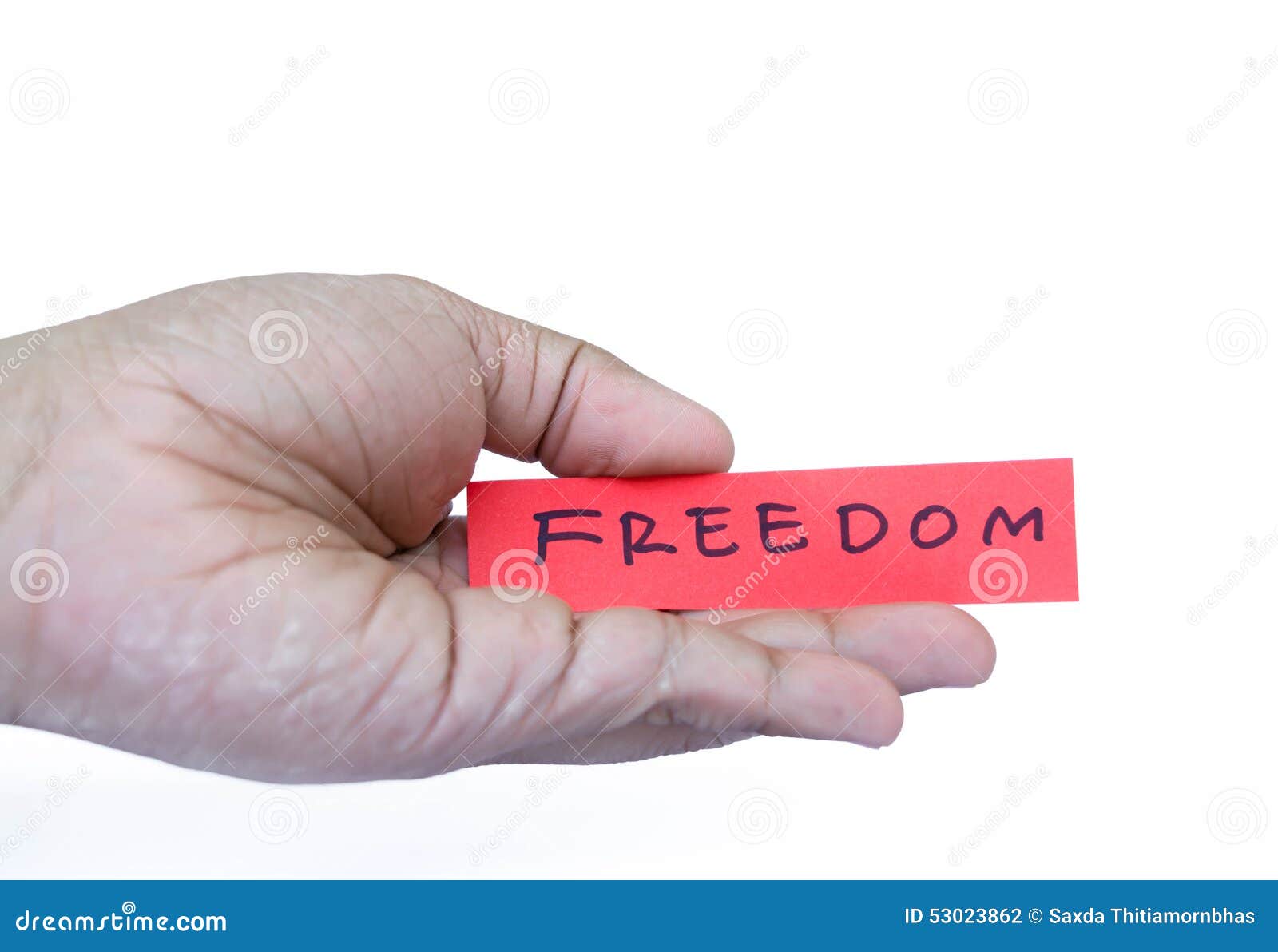 Freedom in hand stock photo. Image of celebrate, life - 53023862
