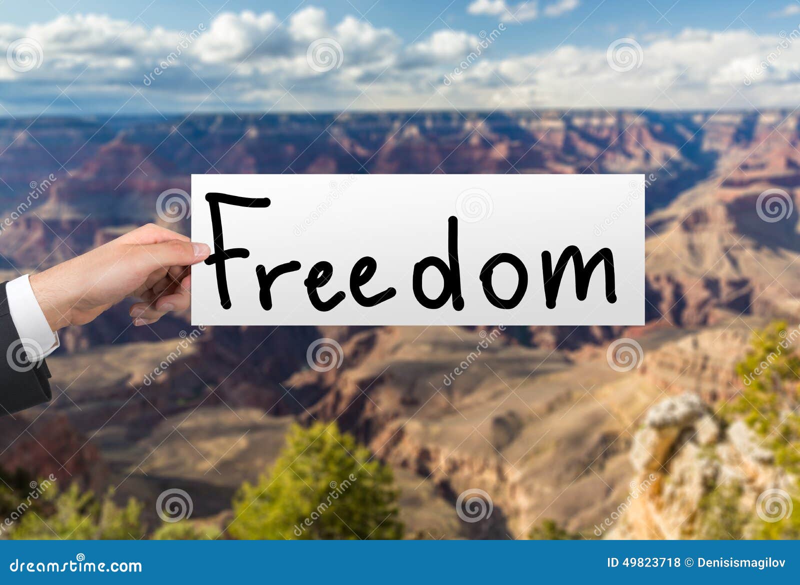 Freedom stock photo. Image of businessman, manager, communication ...