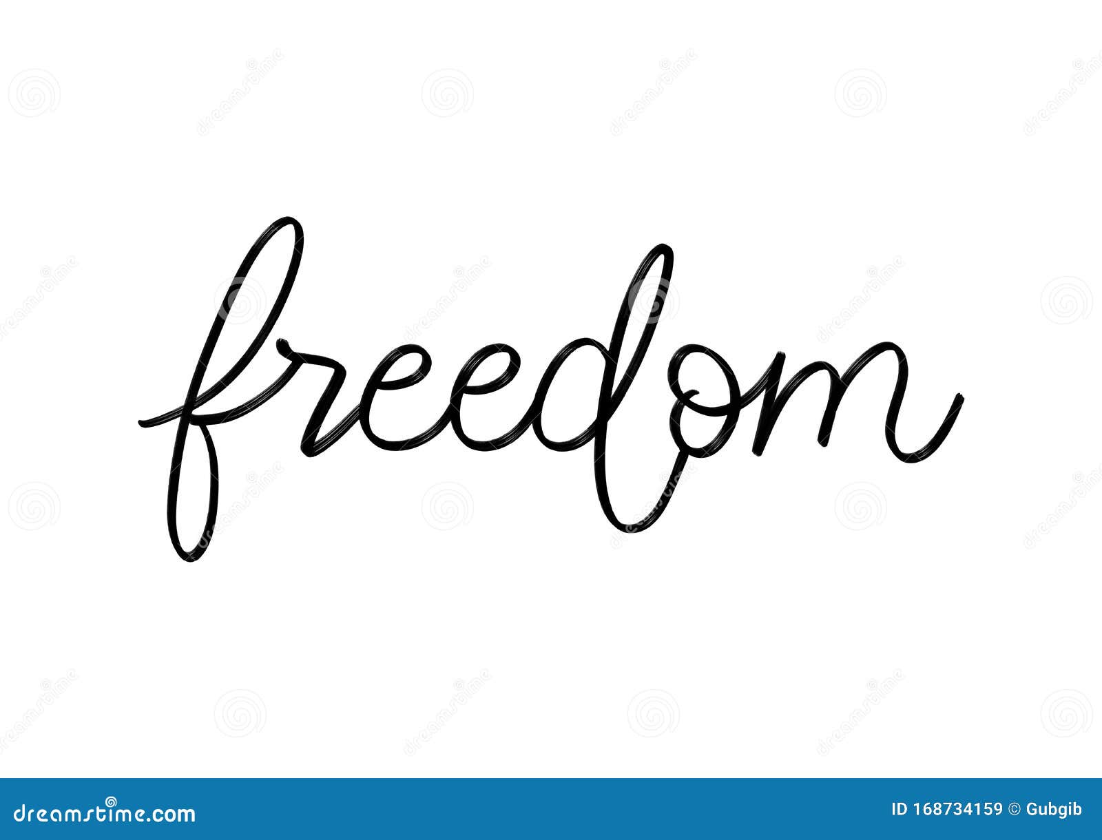 Freedom Hand Lettering on White Background Stock Vector - Illustration ...