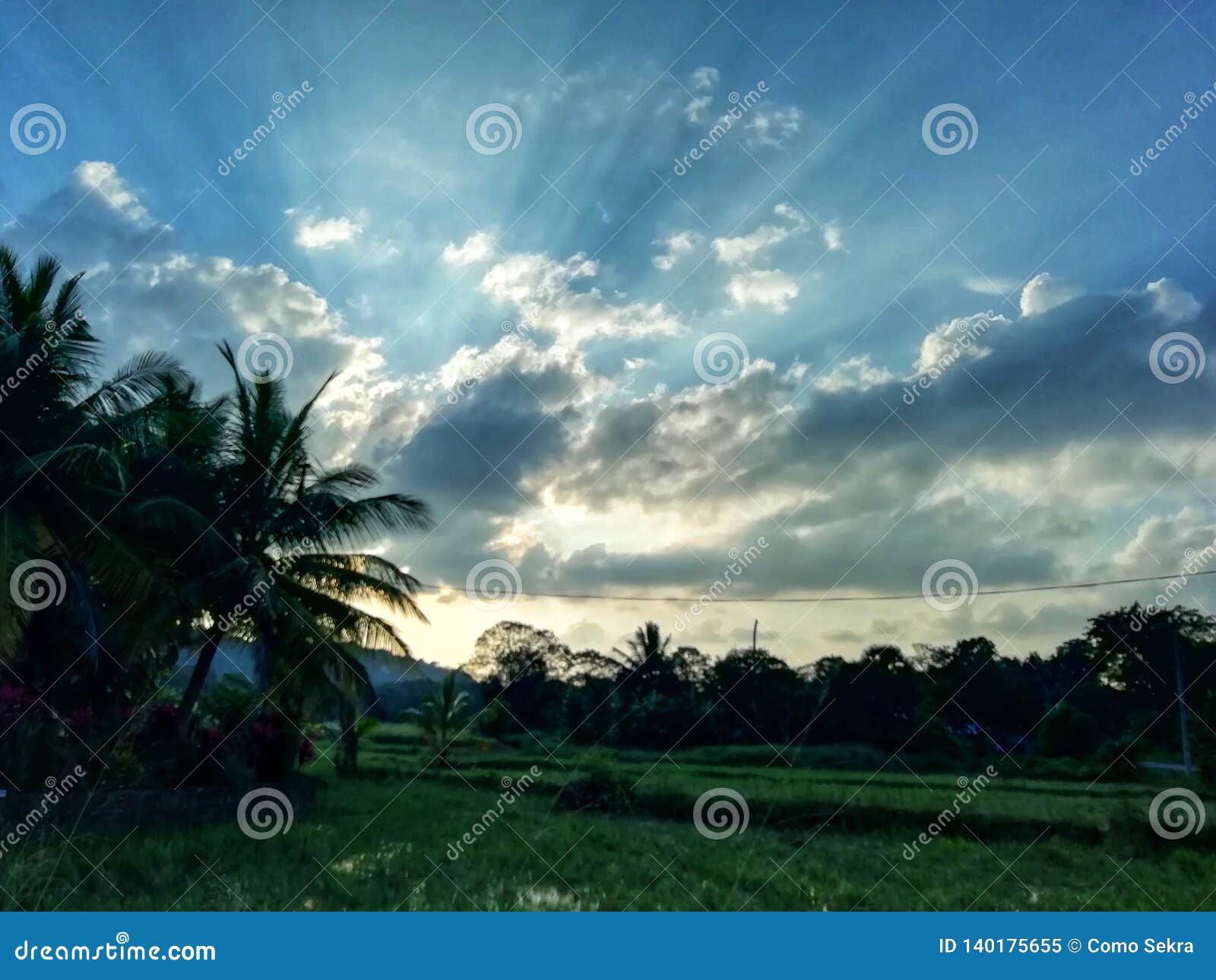 Freedom light stock image. Image of paddy, freedom, sunlight - 140175655