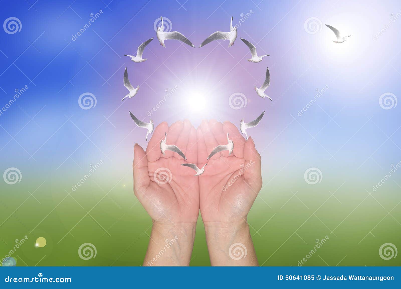 Freedom love in your hand stock image. Image of hope - 50641085