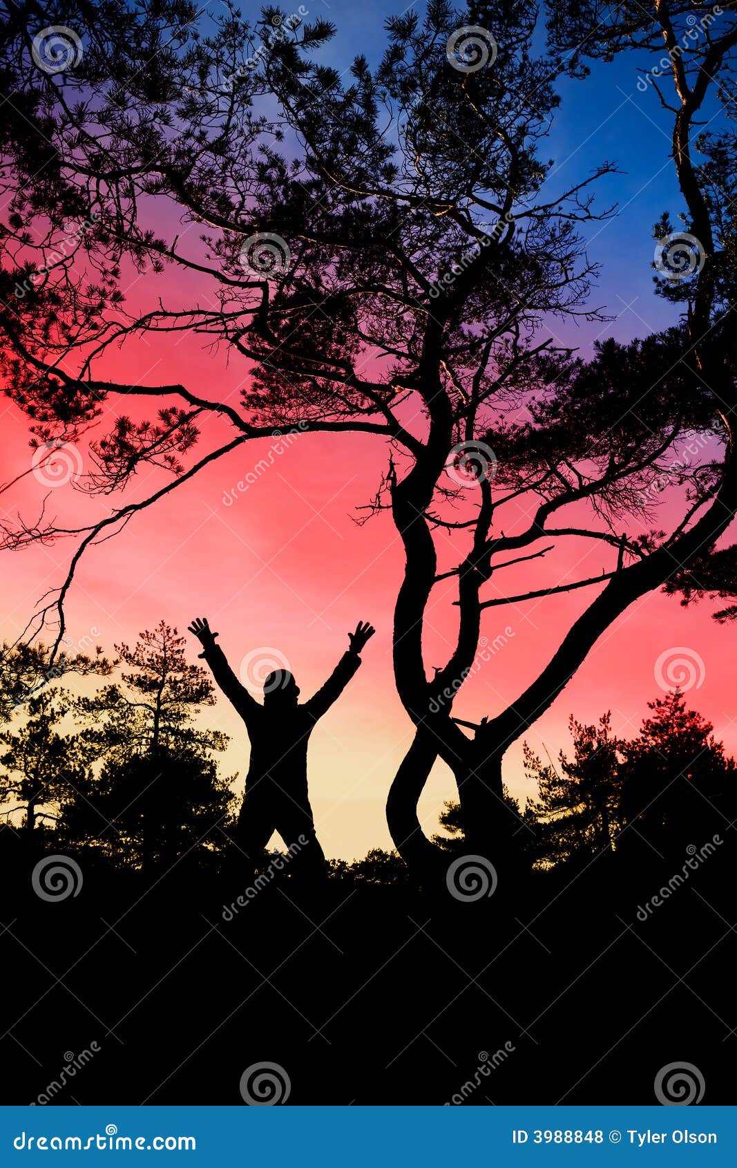 Freedom in Nature stock photo. Image of lifestyle, dramatic - 3988848