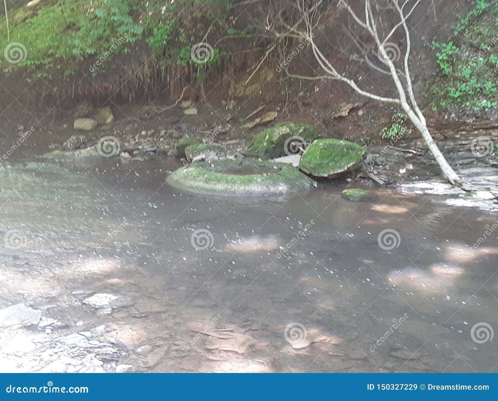 Freedom Nice Fresh Air Love it Stock Image - Image of nice, love: 150327229