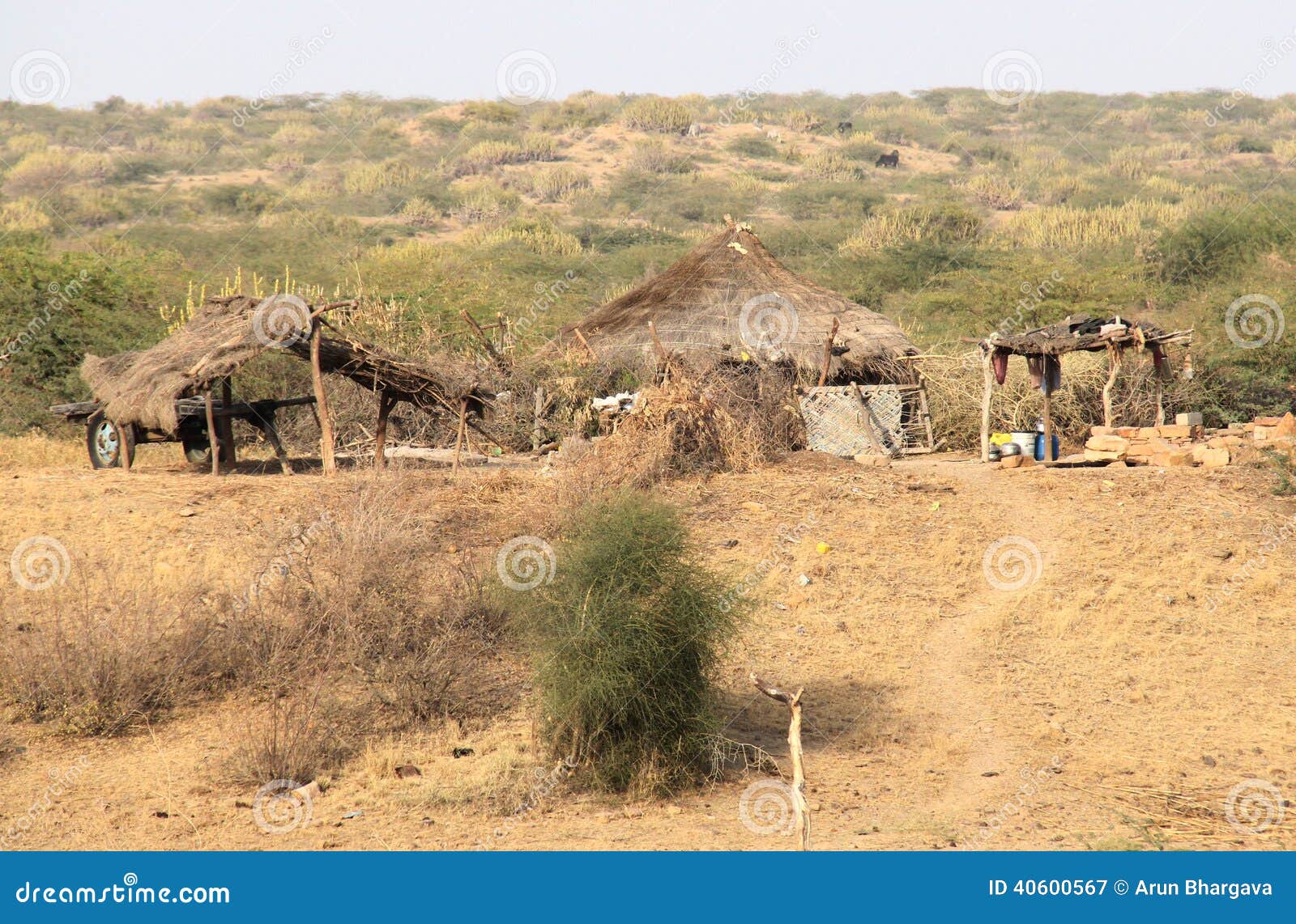 Freedom of Nomadic life stock image. Image of shrub, difficult - 40600567